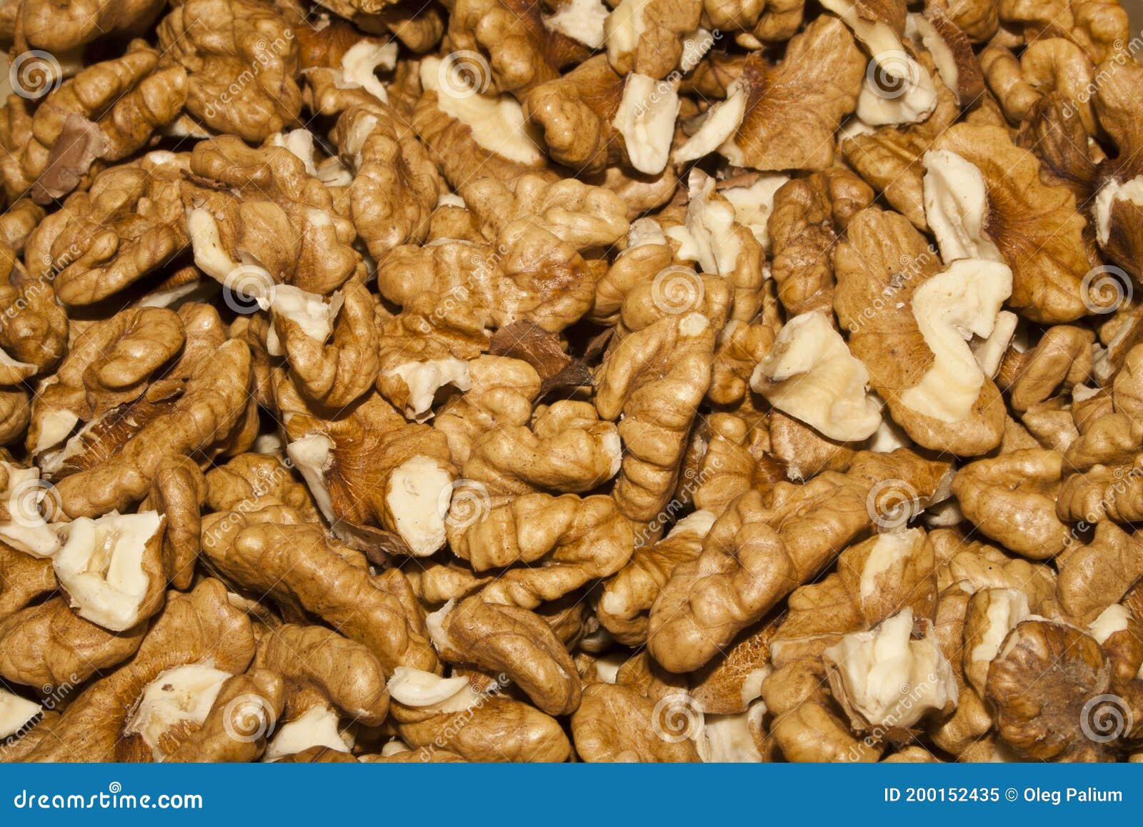 Nut Isolated on White Background Stock Image - Image of macro, almond ...