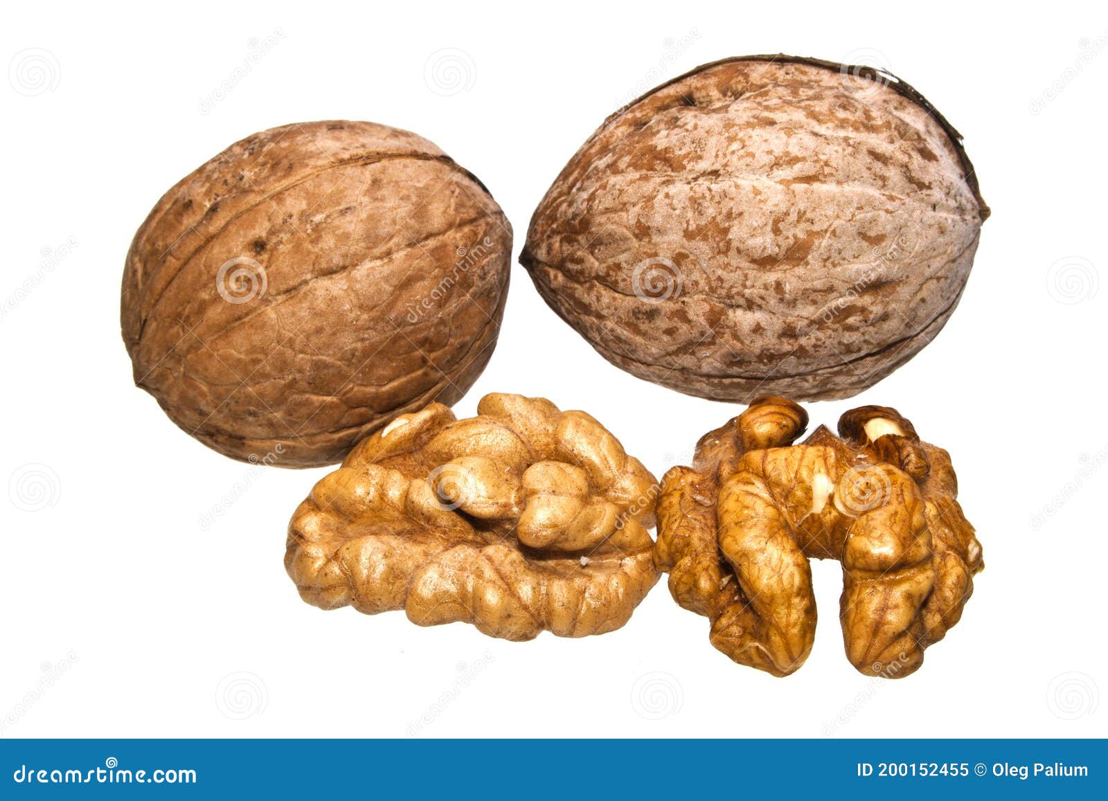 Nut Isolated on White Background Stock Image - Image of fresh, object ...