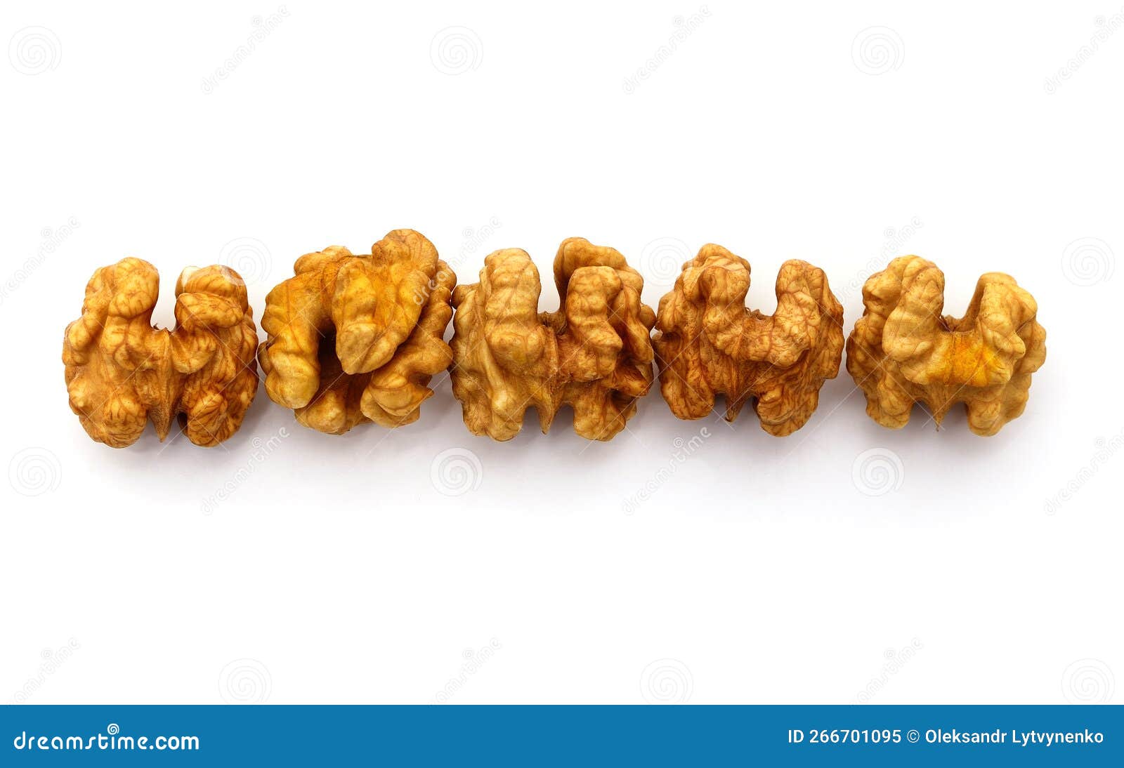 Nut kernels in a row stock image. Image of protein, closeup - 266701095