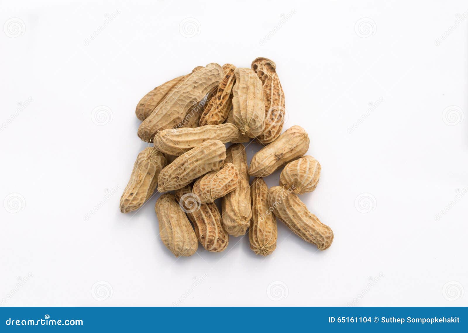 Nut stock photo. Image of snack, fruit, heap, hazelnut - 65161104