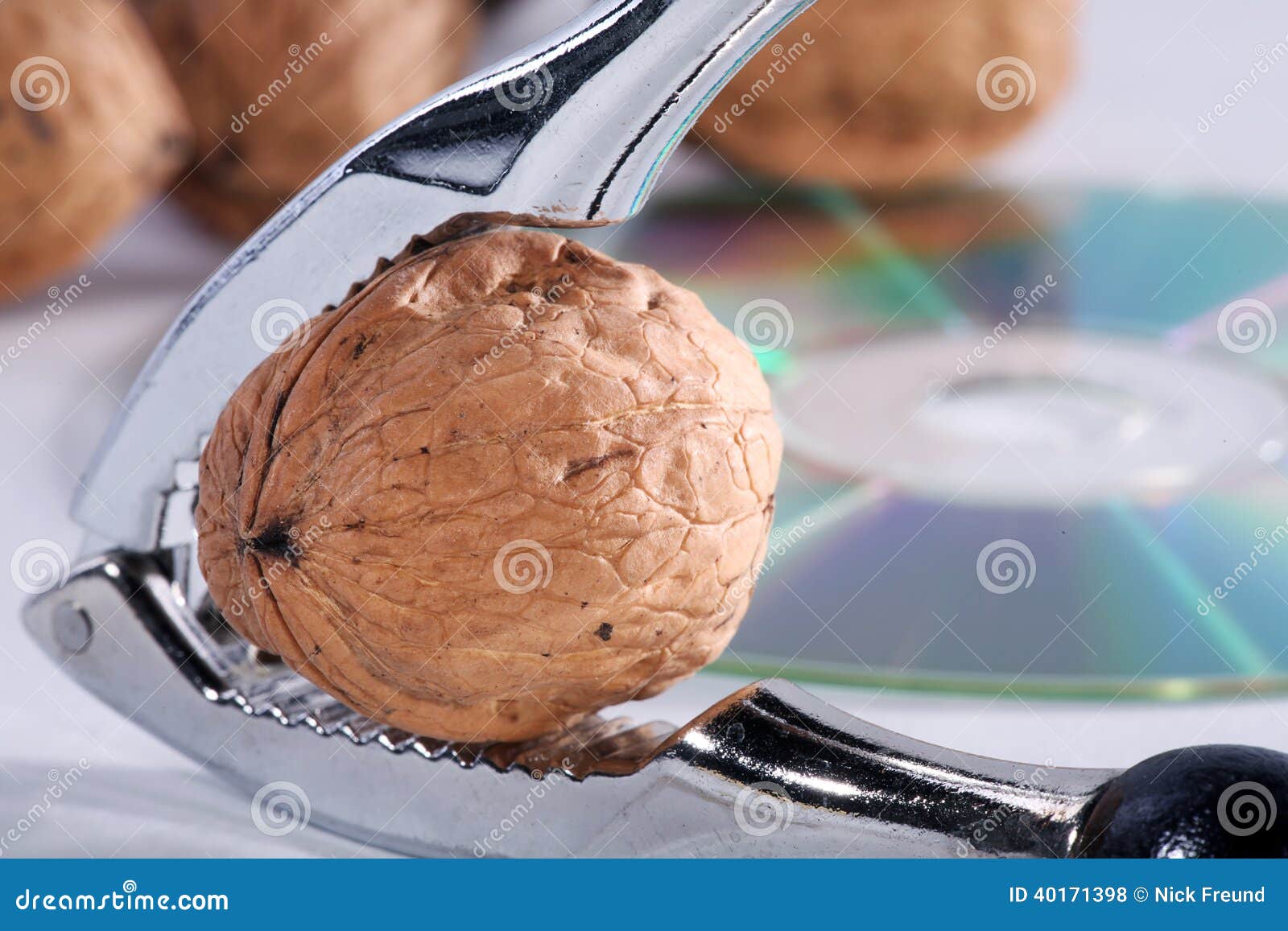 Nut with nutcracker close stock photo. Image of fall - 40171398