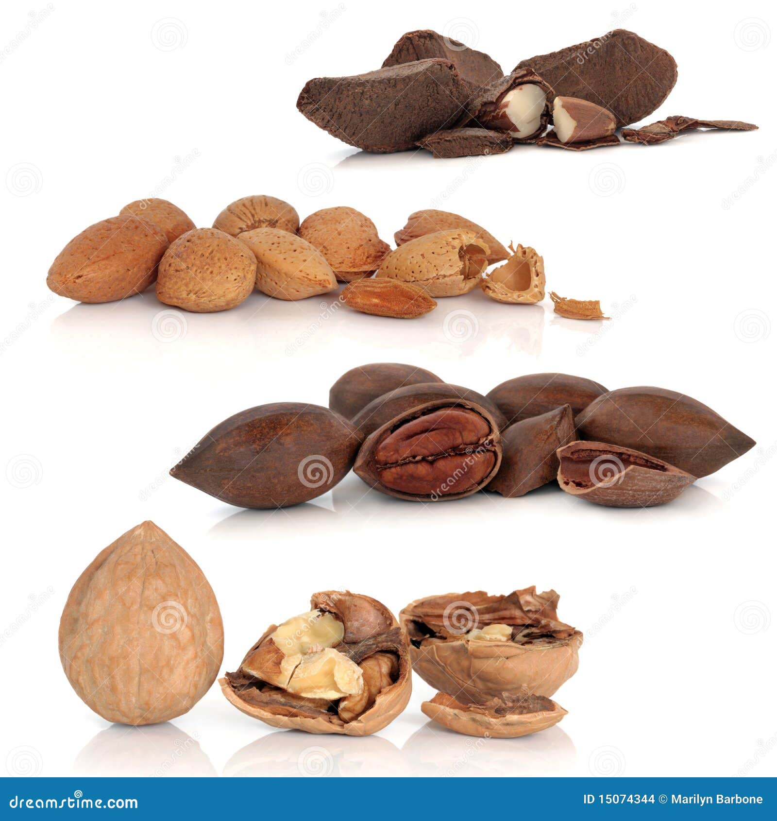 Nut Selection stock photo. Image of pecan, isolated, four - 15074344