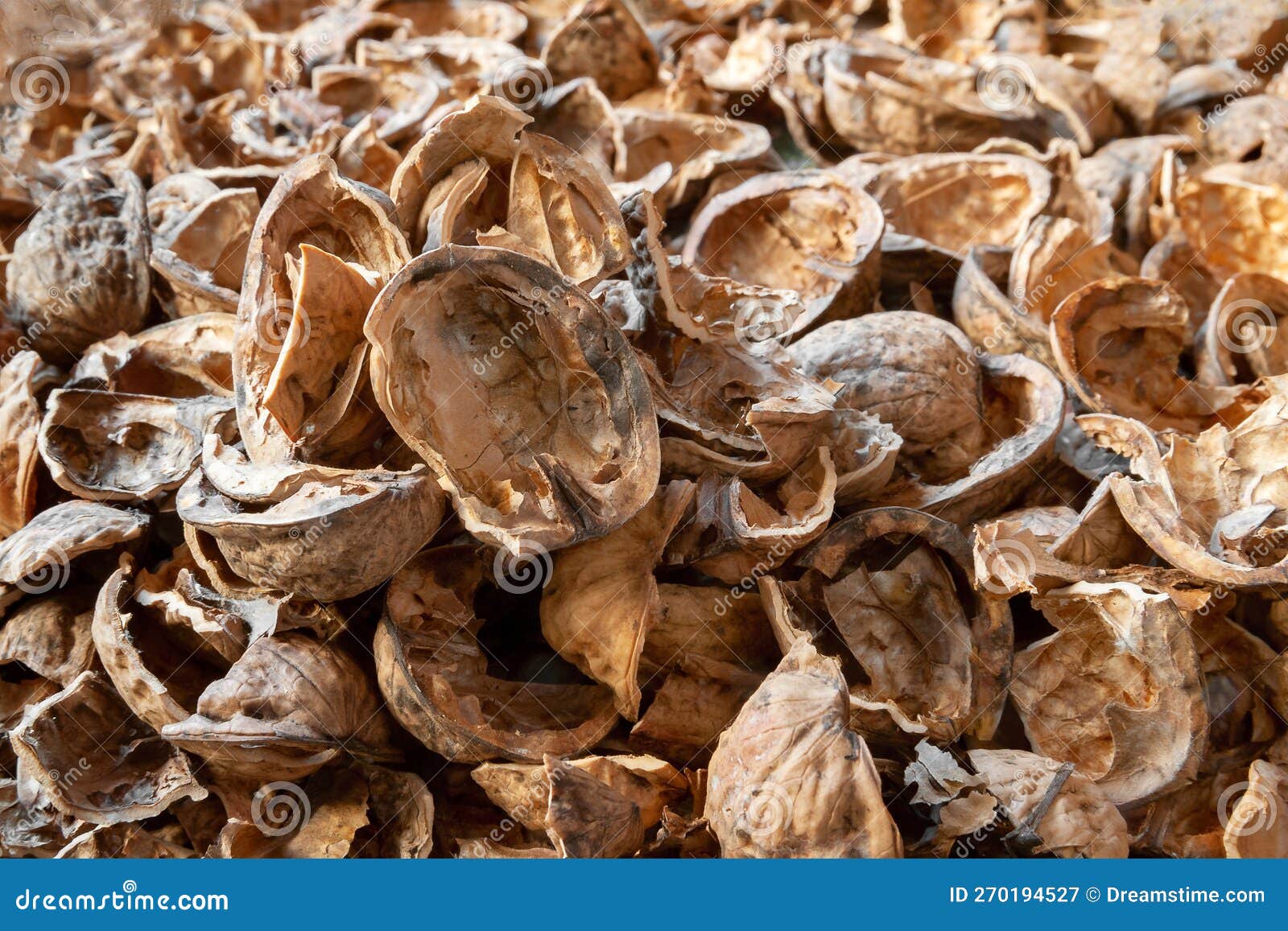 Nut Shell. Empty Walnut Shell Background. Nut Texture Close Up ...