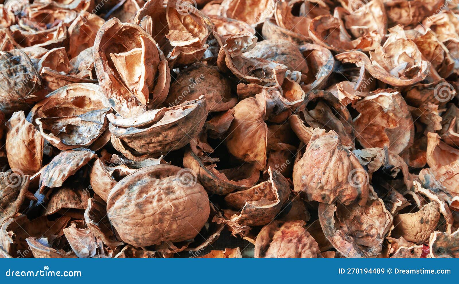 Nut Shell. Empty Walnut Shell. Nuts Texture Background. Selective Focus ...