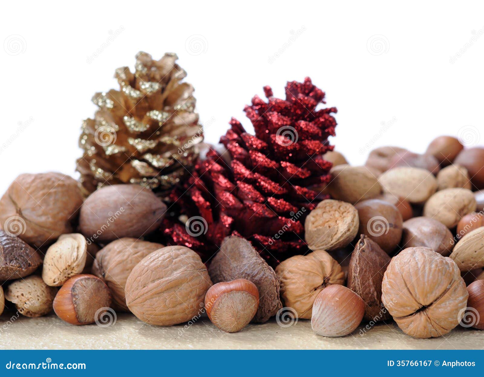 Nut in shell stock image. Image of brazil, isolated, diet - 35766167