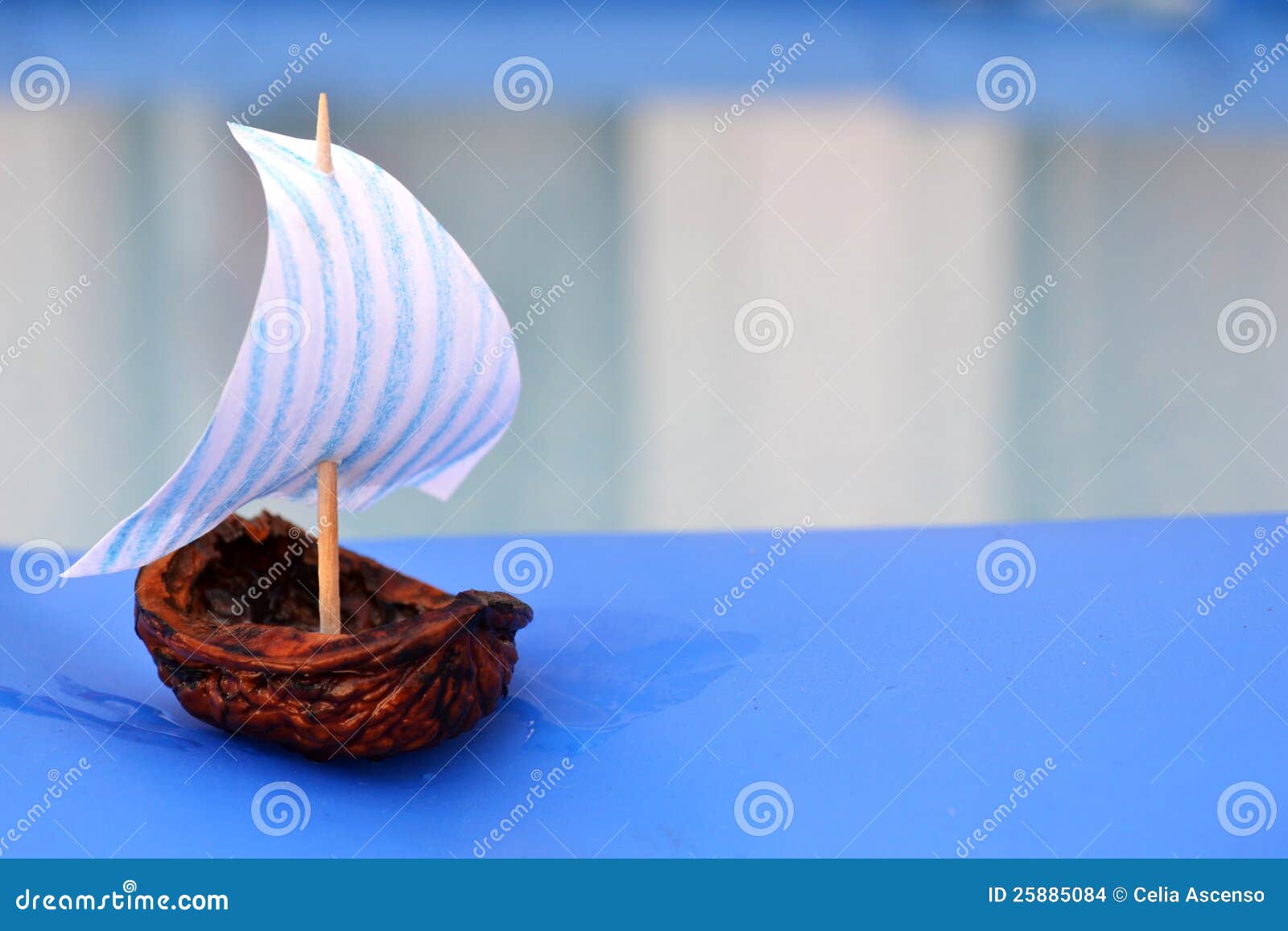 Nut Shell Sailing Boat stock photo. Image of float, atlantic - 25885084