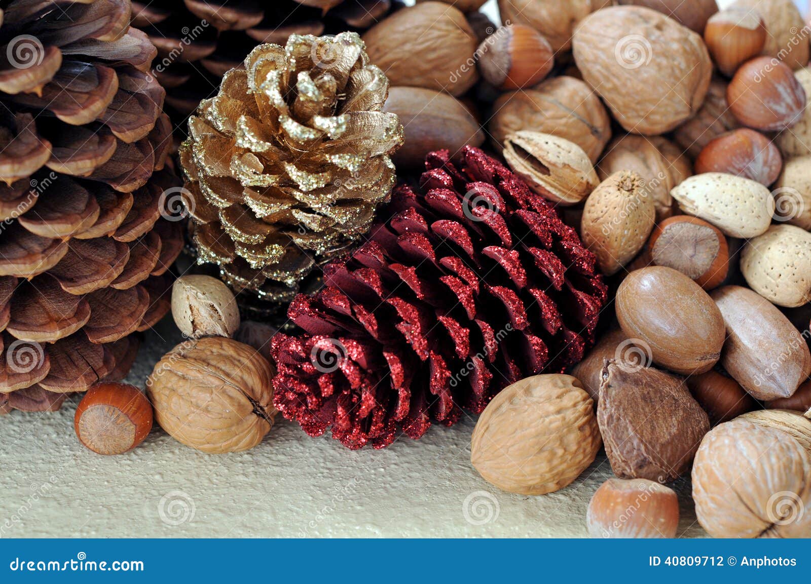 Nut in shell stock photo. Image of crack, brown, nutshell - 40809712