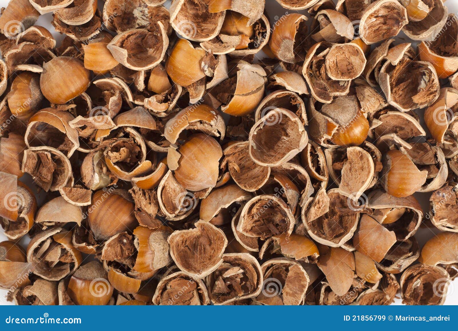 Nut shells stock image. Image of pattern, food, wallpaper - 21856799