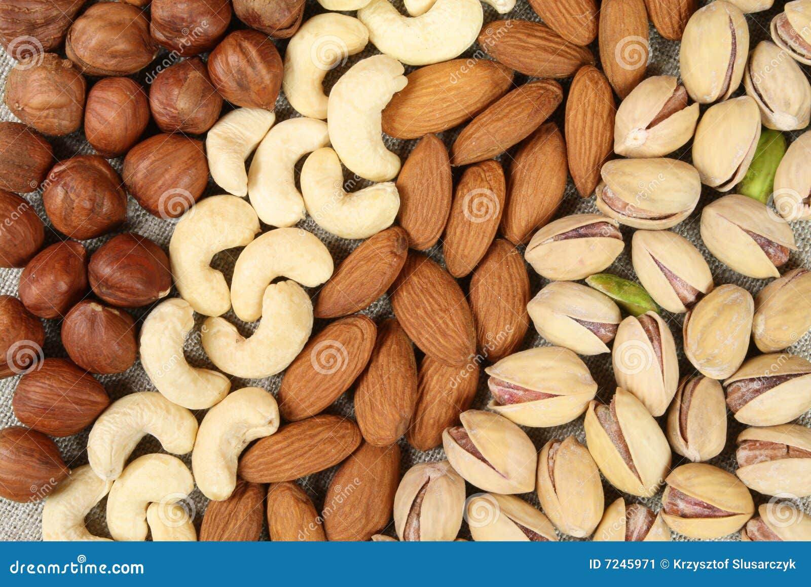 Nut texture stock image. Image of abstract, textured, dried - 7245971