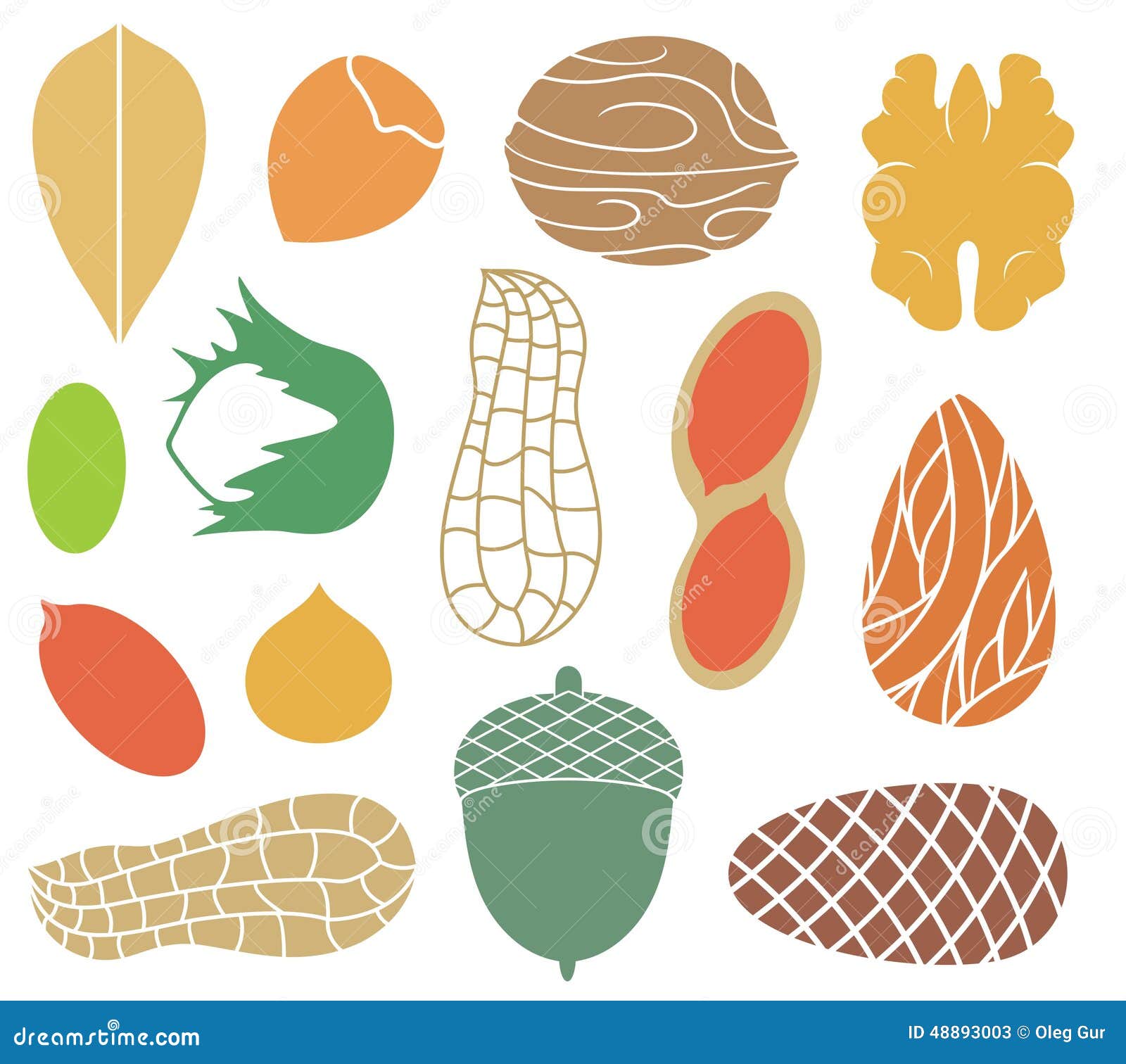 Nut stock vector. Illustration of black, vector, nuts - 48893003