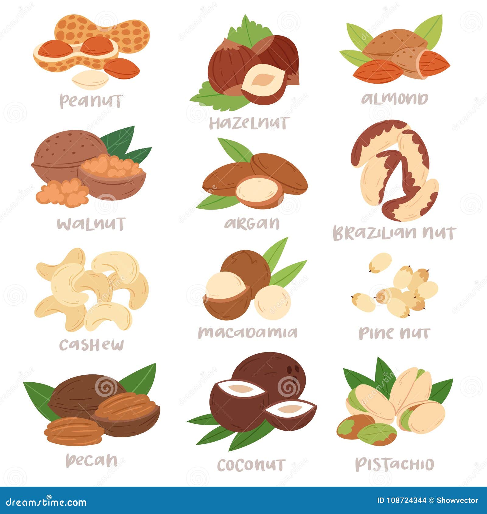 Nut Vector Nutshell of Hazelnut or Walnut and Almond Nuts Set Nutrition ...