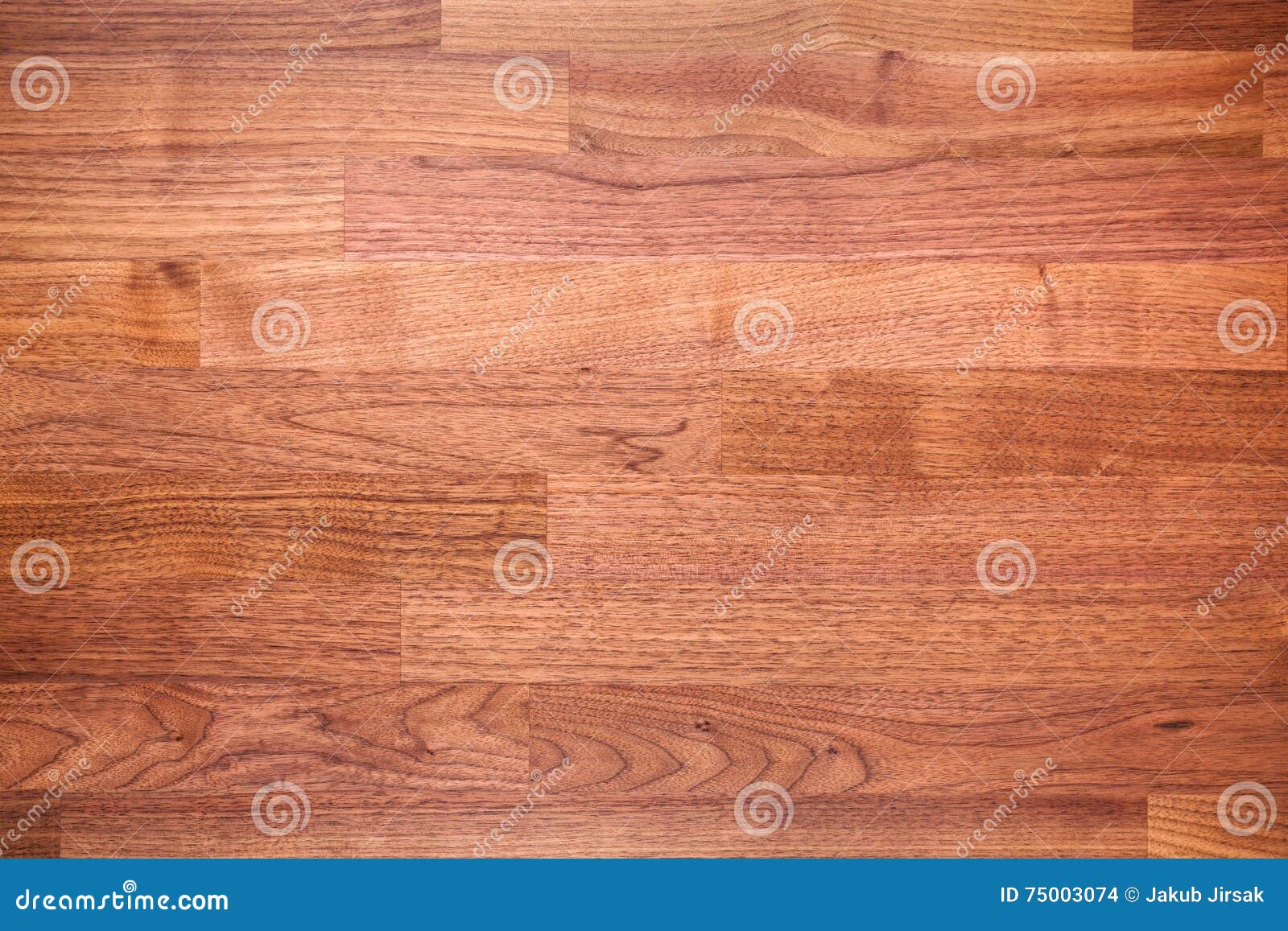Nut wood texture stock photo. Image of decorate, wood - 75003074