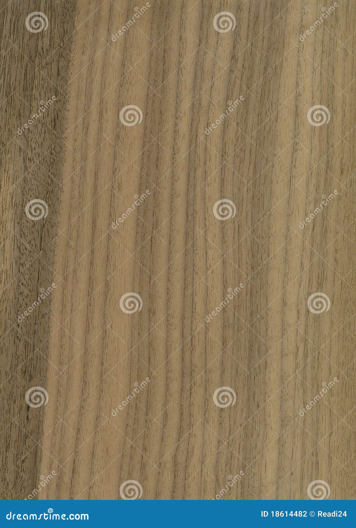 Nut wood veneer texture stock photo. Image of decorative - 18614482