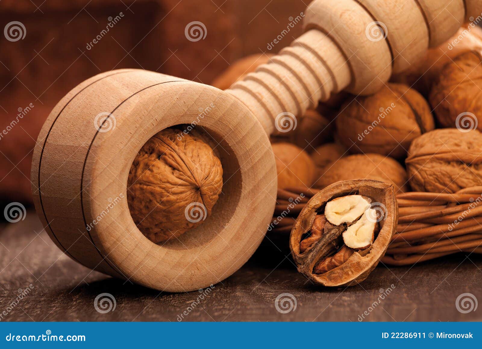 Nutcracker stock image. Image of diet, nutcracker, natural - 22286911