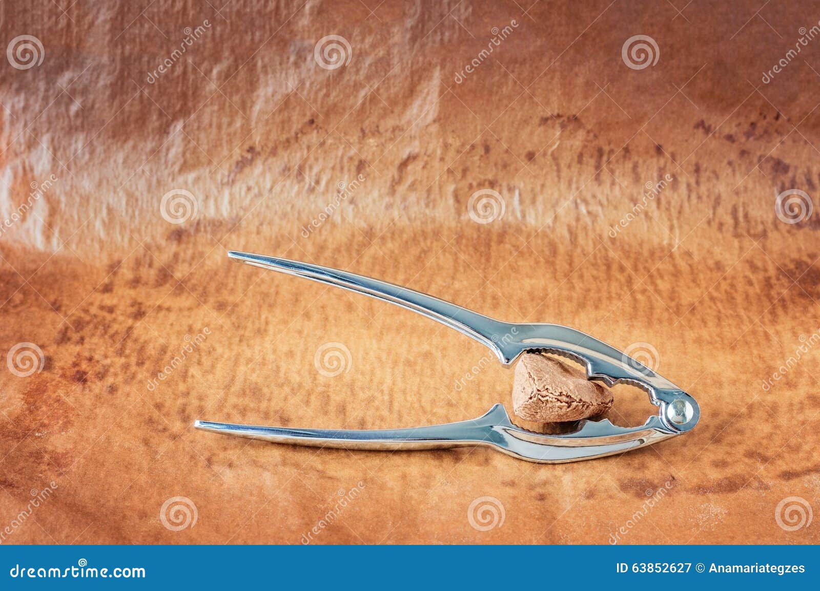 Nutcracker with Brazil Nut stock image. Image of instrument - 63852627