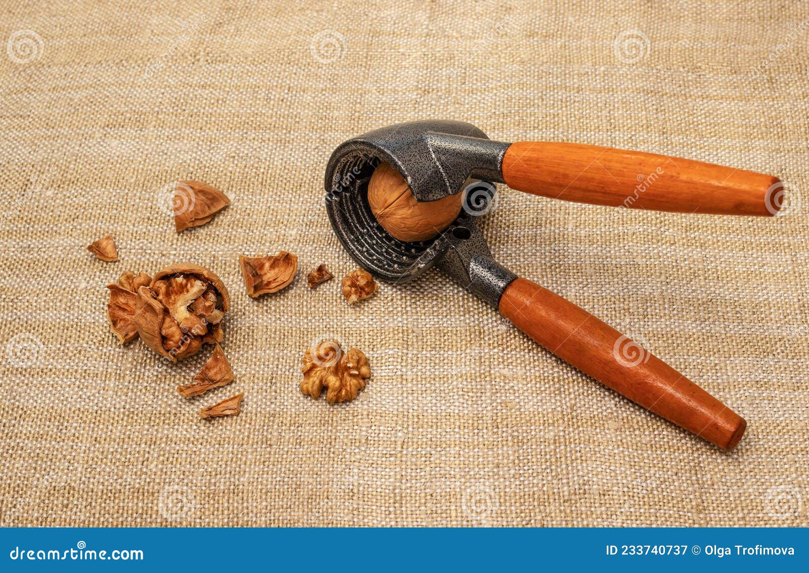 Nutcracker with Broken Tasty Walnuts on Burlap. One Nut in a Nutcracker ...