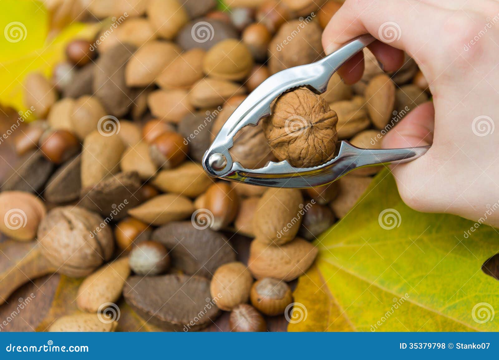 Nutcracker stock photo. Image of almonds, female, diet - 35379798