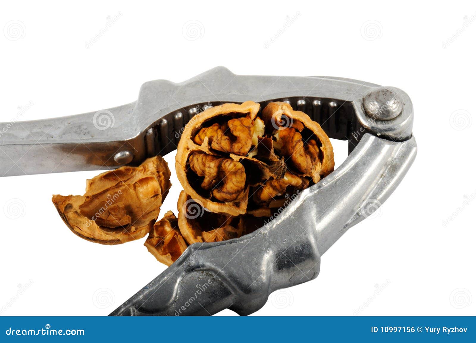 Nutcracker with Cracked Walnut Stock Photo - Image of nutcracker, break ...