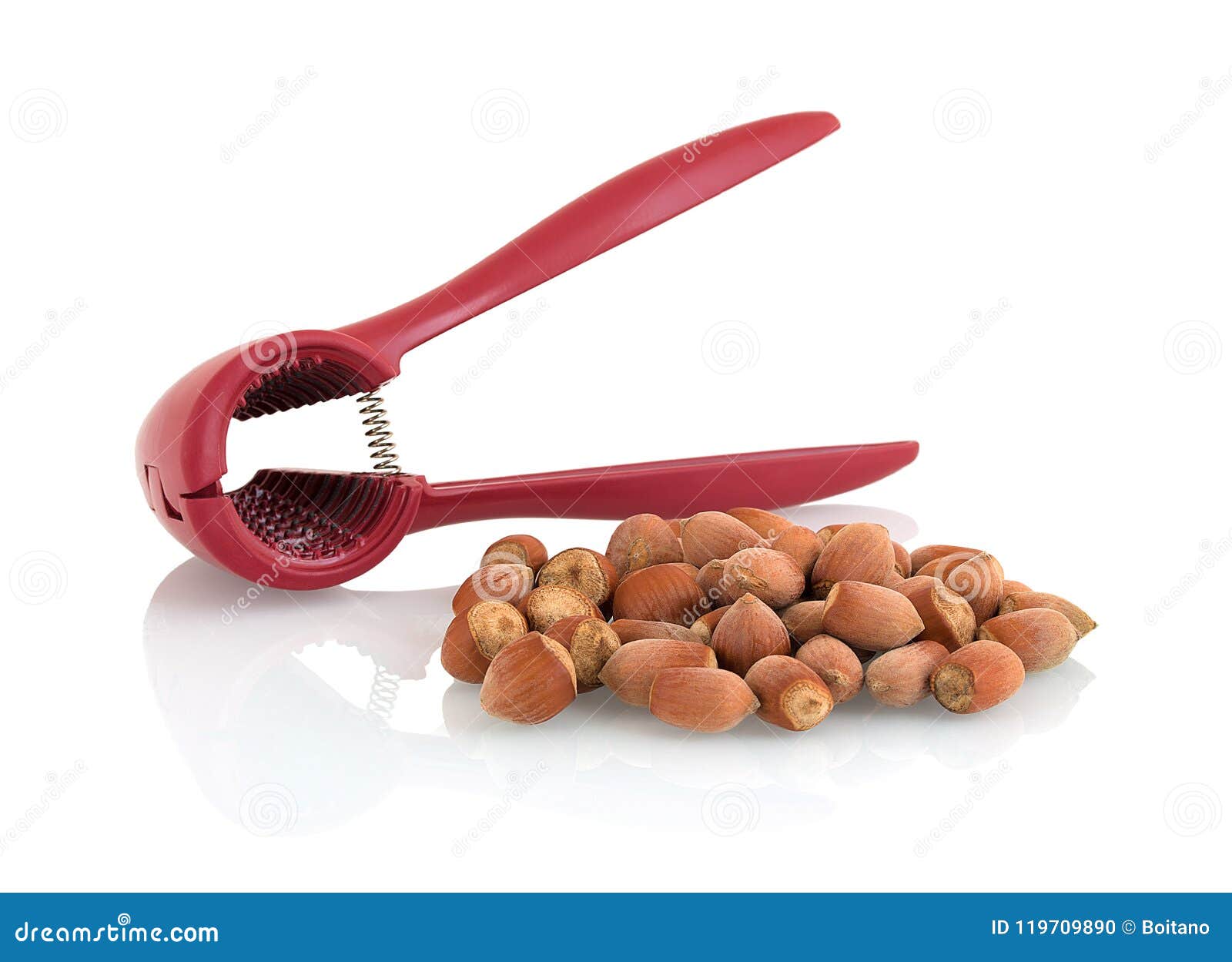Nutcracker with Hazelnut Isolated on White Background with Shadow ...