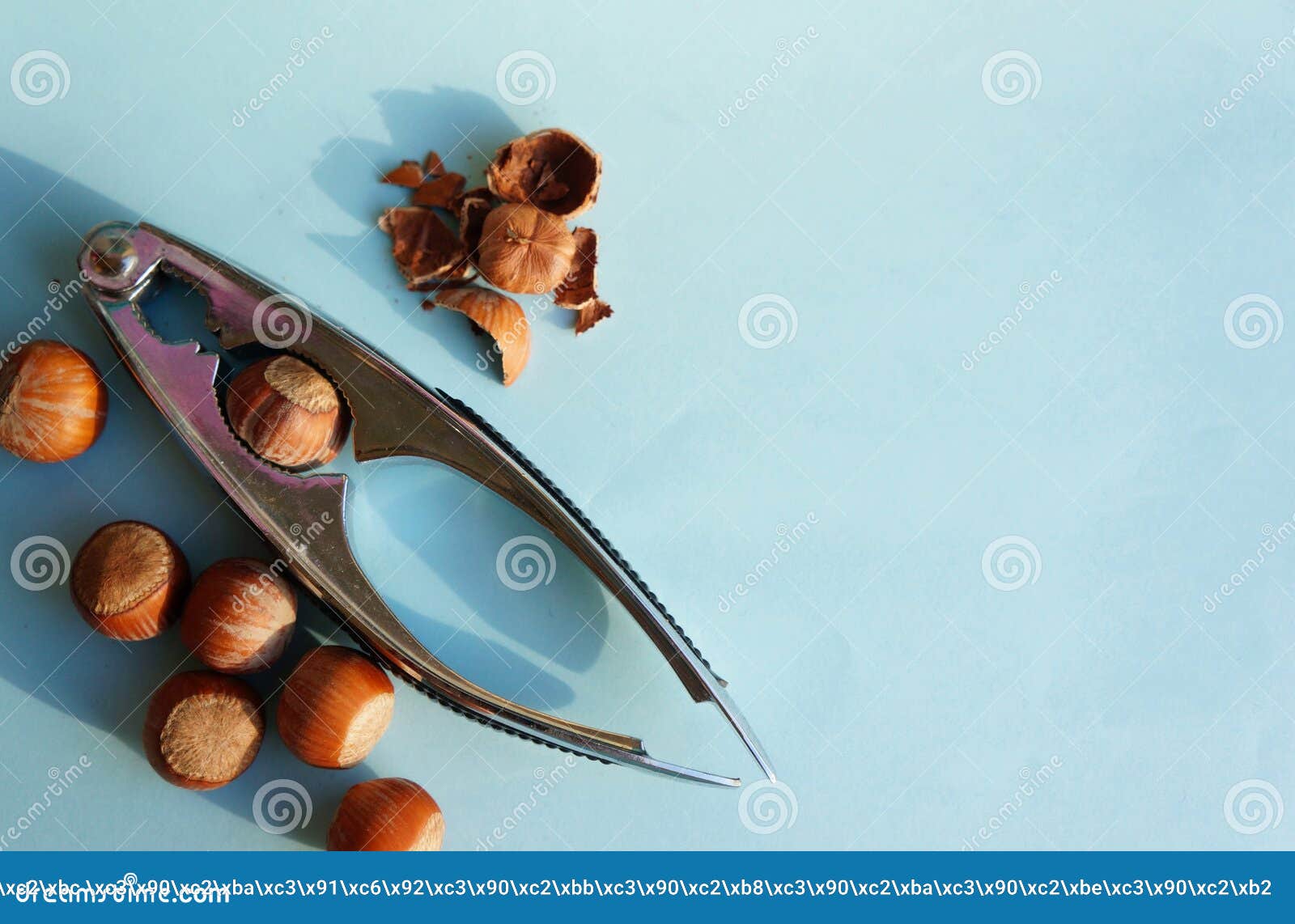 Nutcracker and Nuts on a Blue Background with Place for Your Text Stock ...