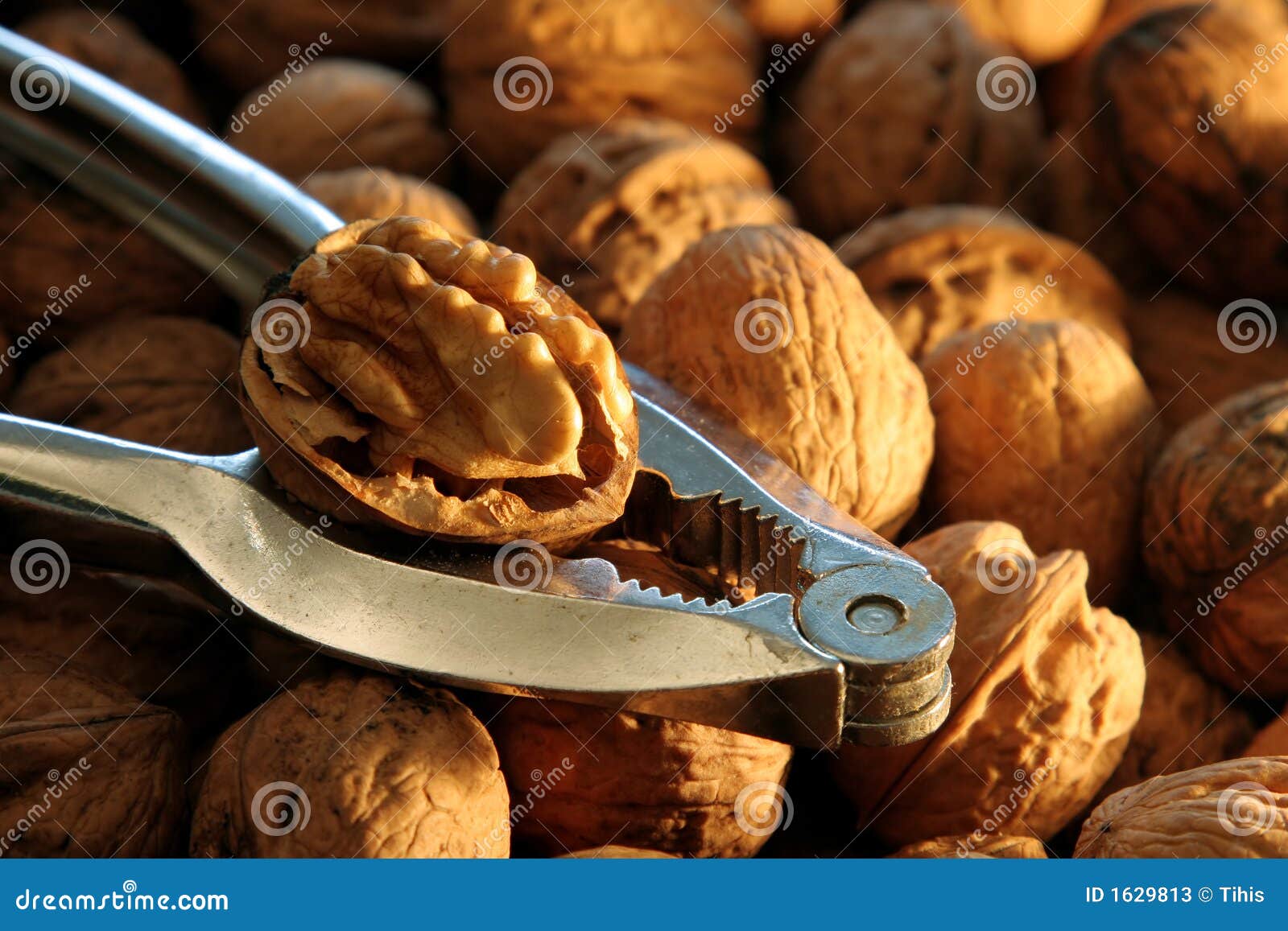 Nutcracker with Walnuts stock image. Image of crunchy - 1629813