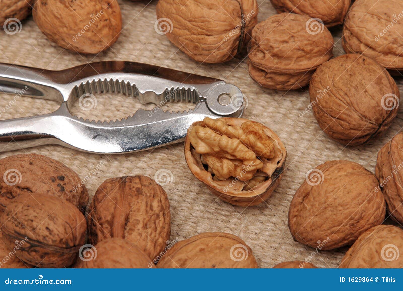 Nutcracker with Walnuts stock photo. Image of crunch, opener - 1629864