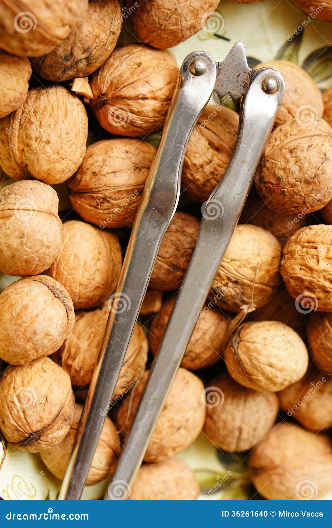 Nutcracker and walnuts stock photo. Image of tool, cracker - 36261640