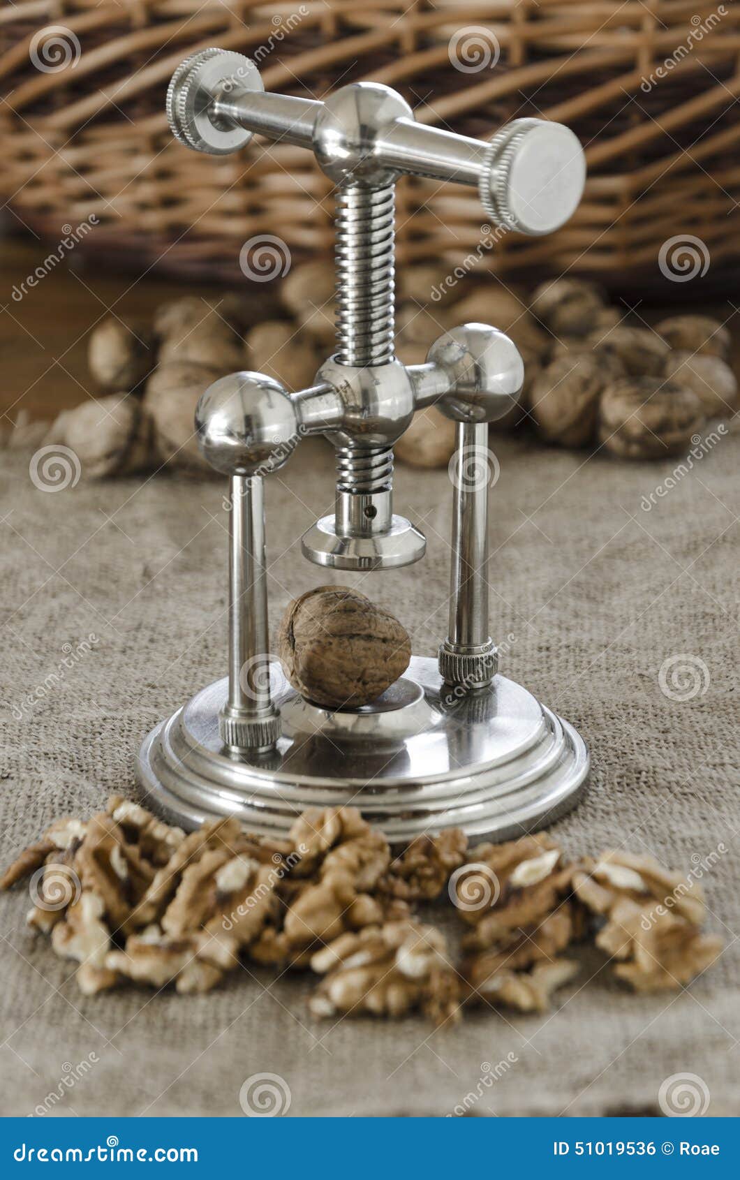 Nutcracker walnuts stock photo. Image of nutcracker, closeup - 51019536