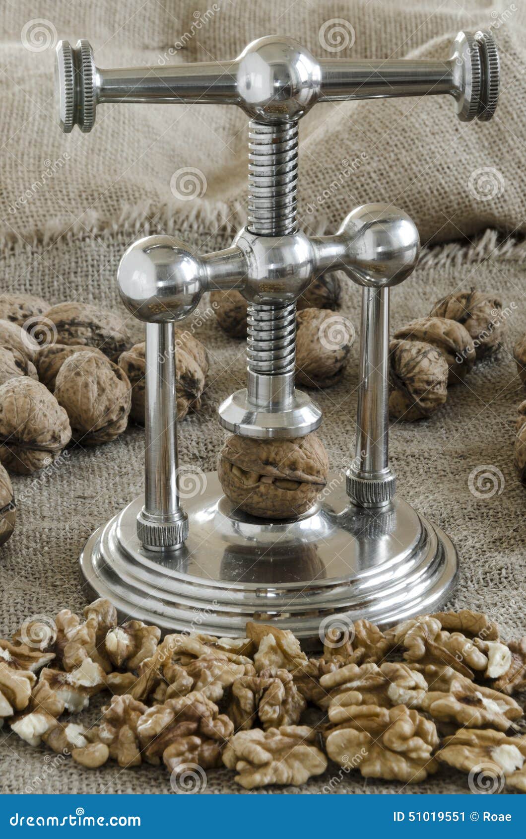 Nutcracker walnuts stock image. Image of eating, closeup - 51019551