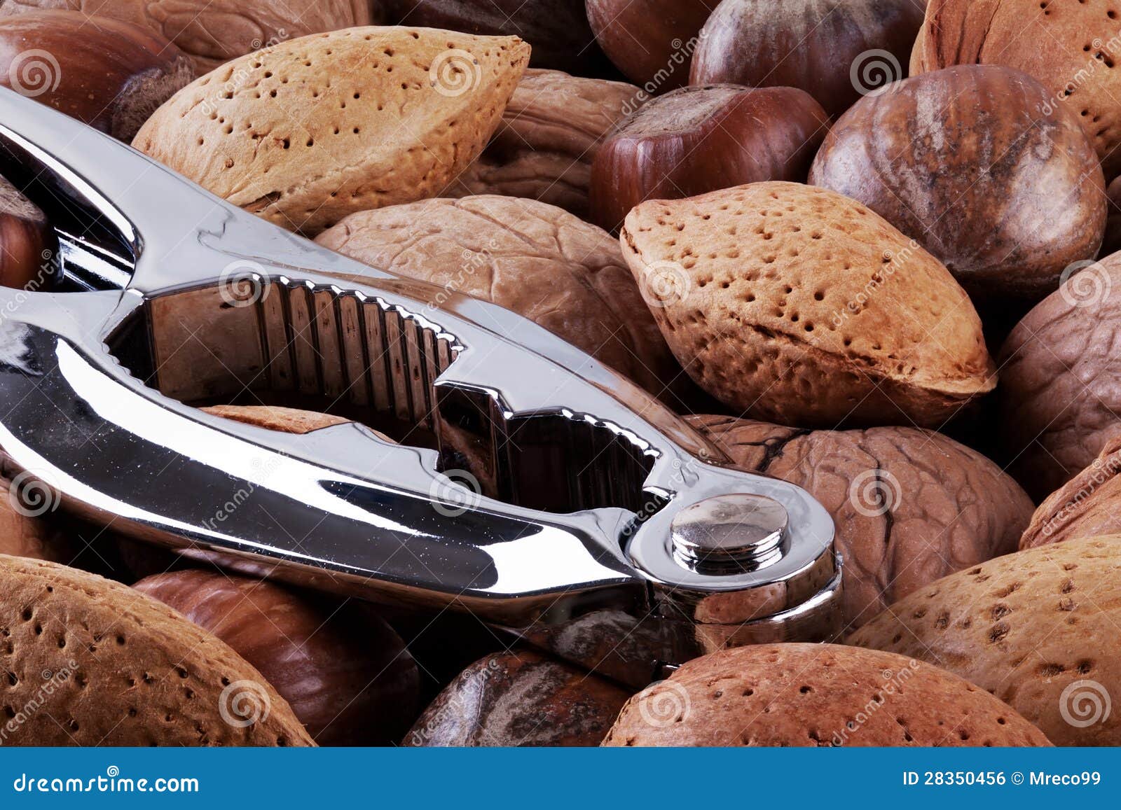 Nutcracker and whole nuts stock photo. Image of nutritious - 28350456