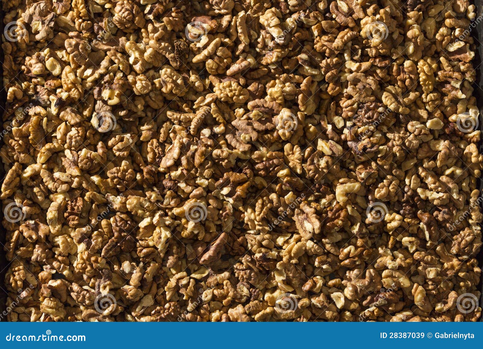 Nutmeat stock image. Image of delicious, minerals, dieting - 28387039