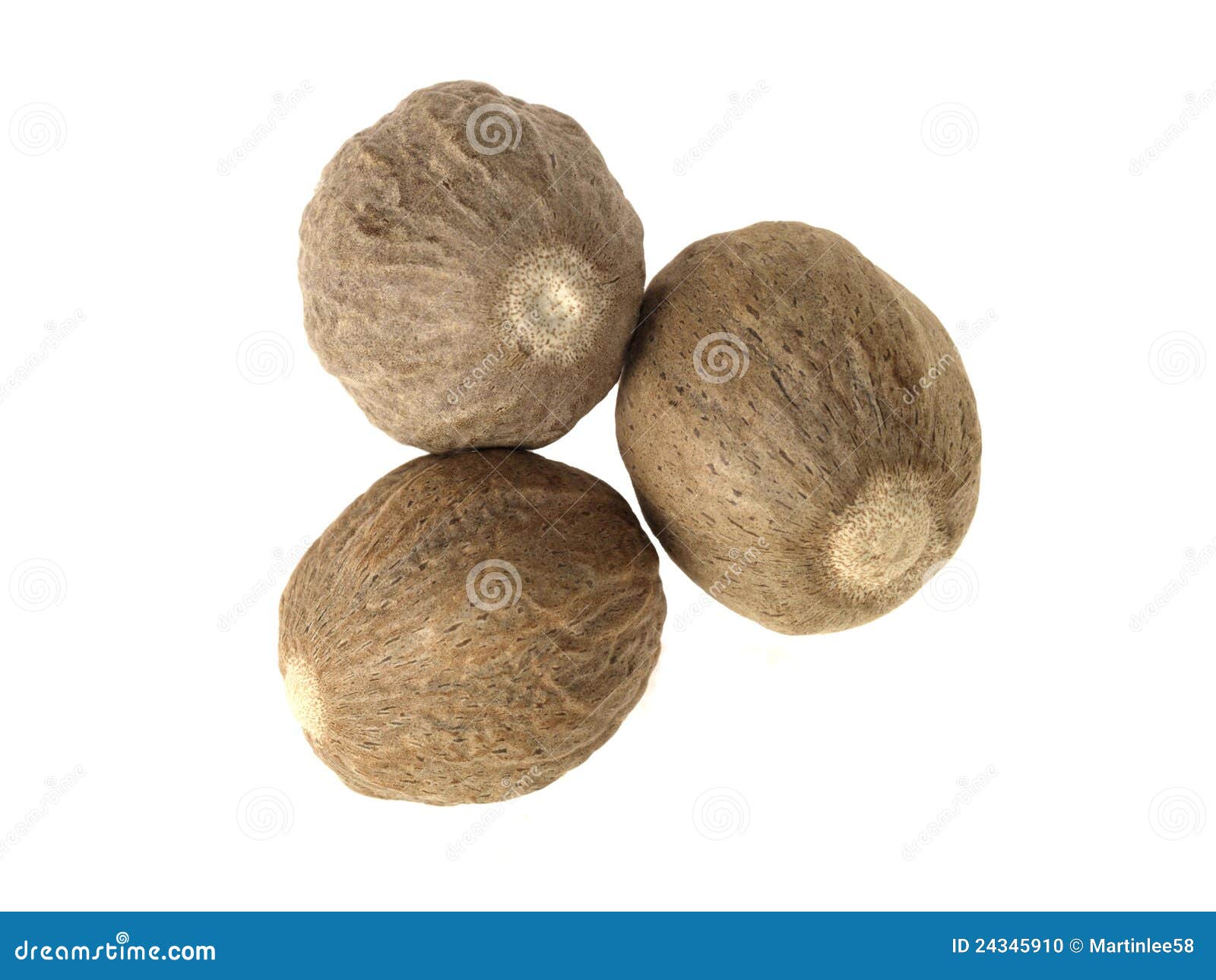 Nutmeg stock photo. Image of cutout, brown, whole, nutmeg - 24345910