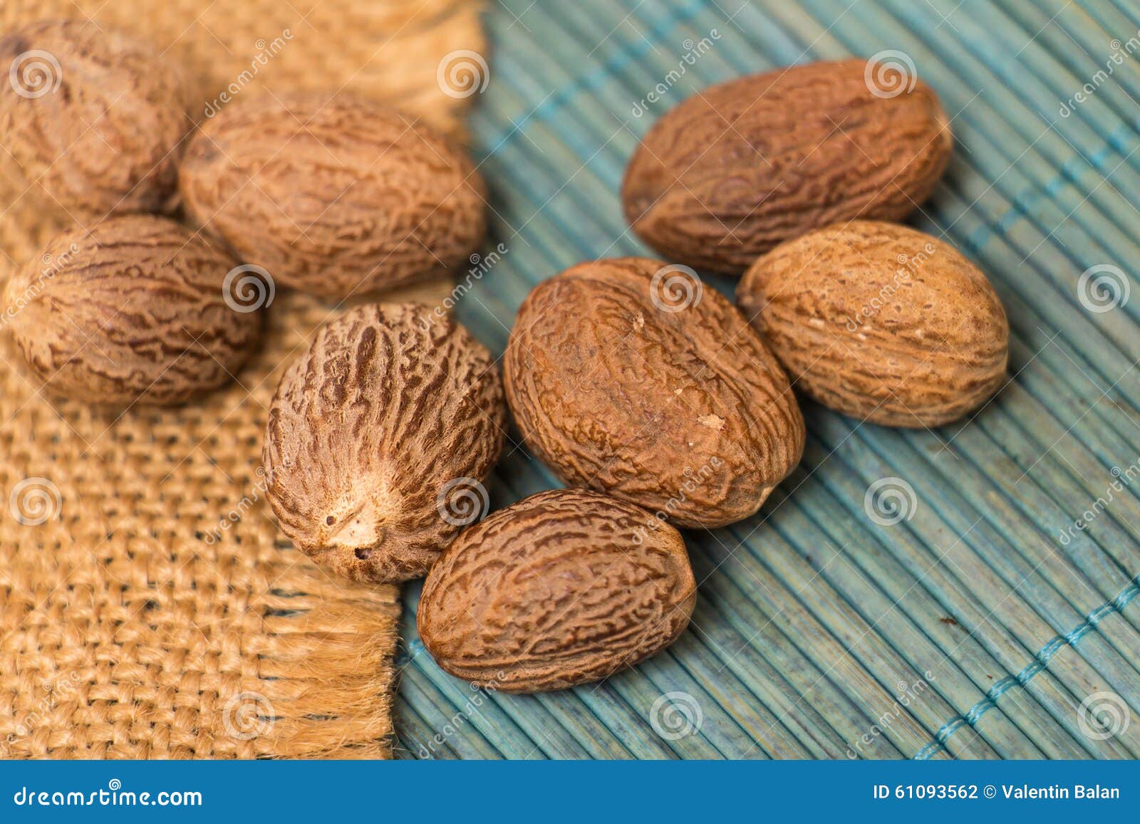 Nutmeg stock photo. Image of herb, medicine, flavor, herbal - 61093562