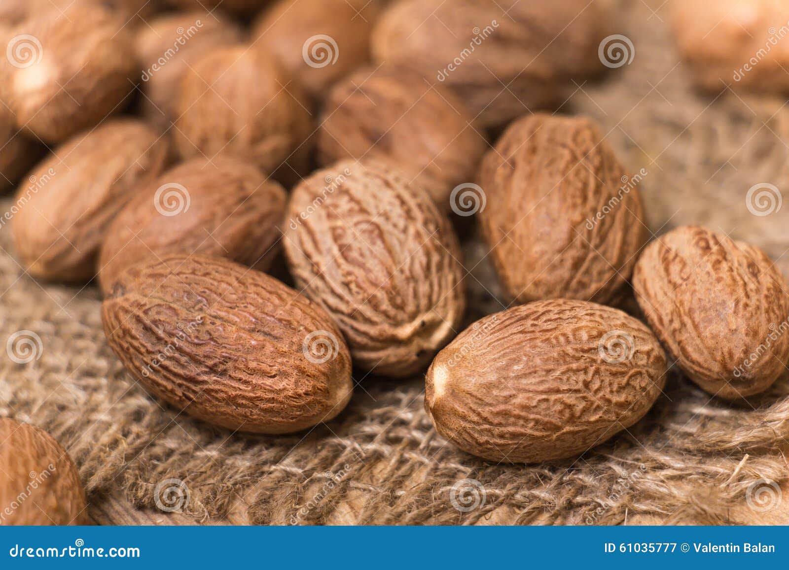 Nutmeg stock image. Image of grated, sack, flavor, burlap - 61035777
