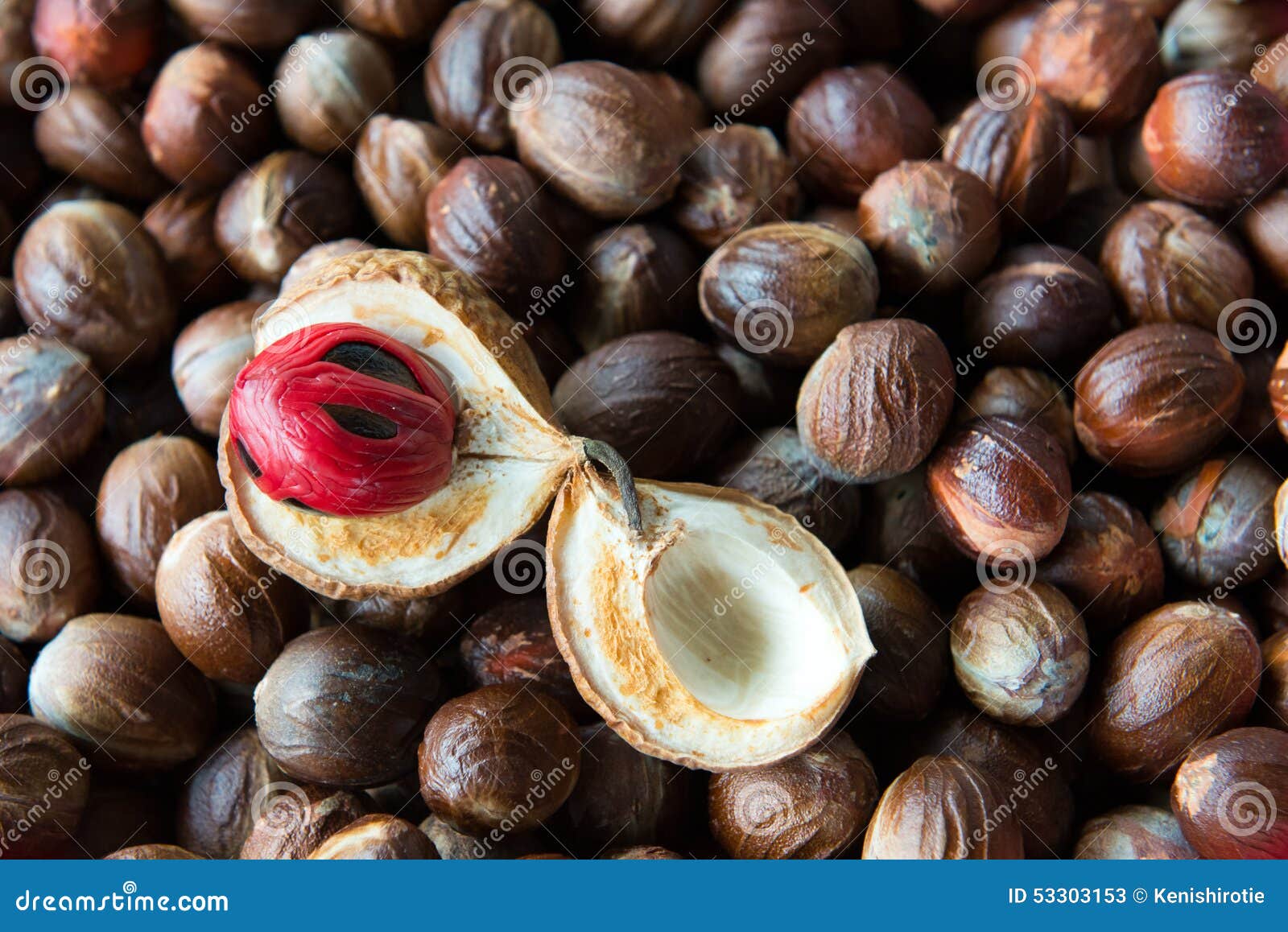 Nutmeg stock image. Image of brown, scent, flavoring - 53303153