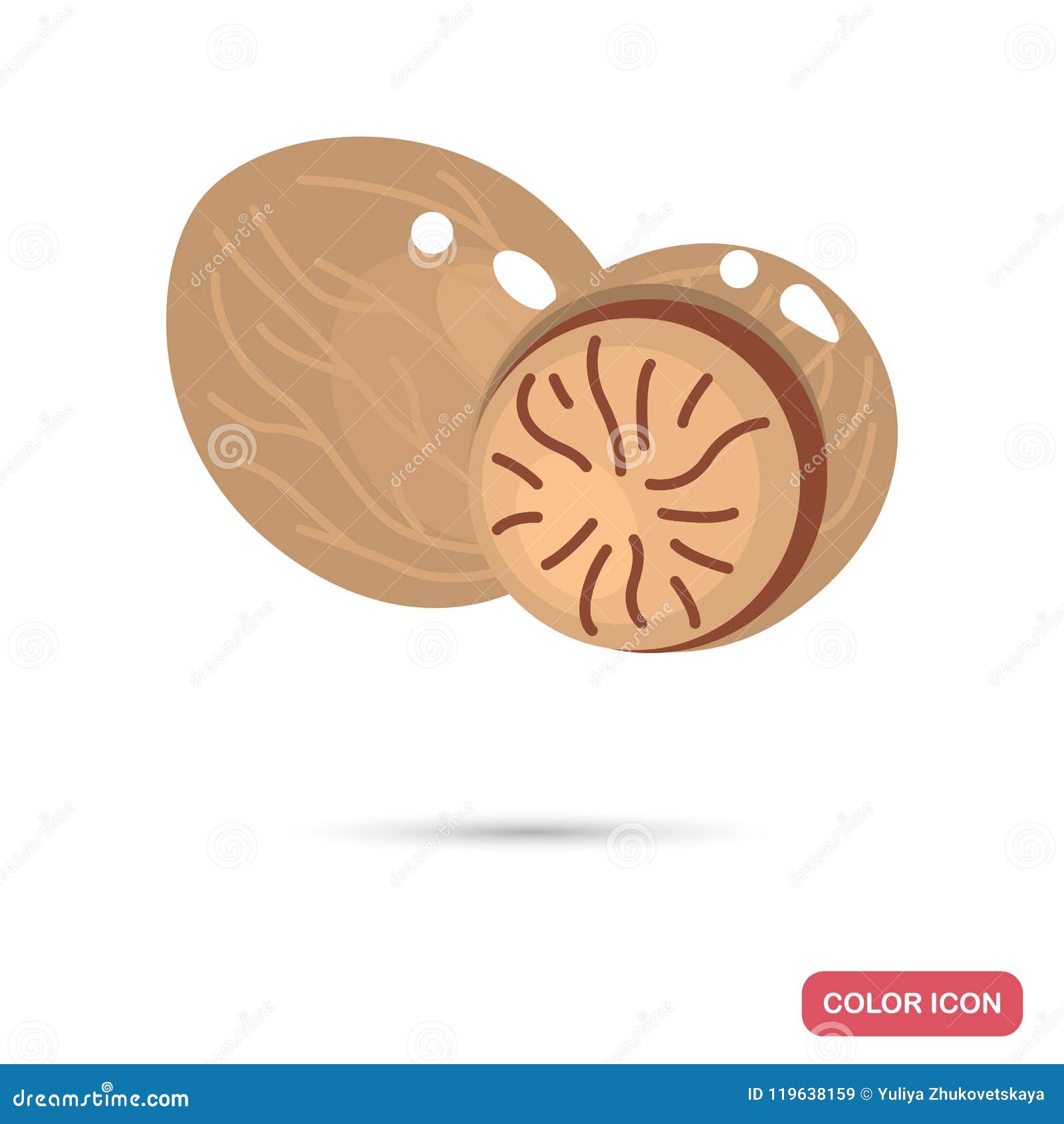 Nutmeg color flat icon stock vector. Illustration of nutritious - 119638159
