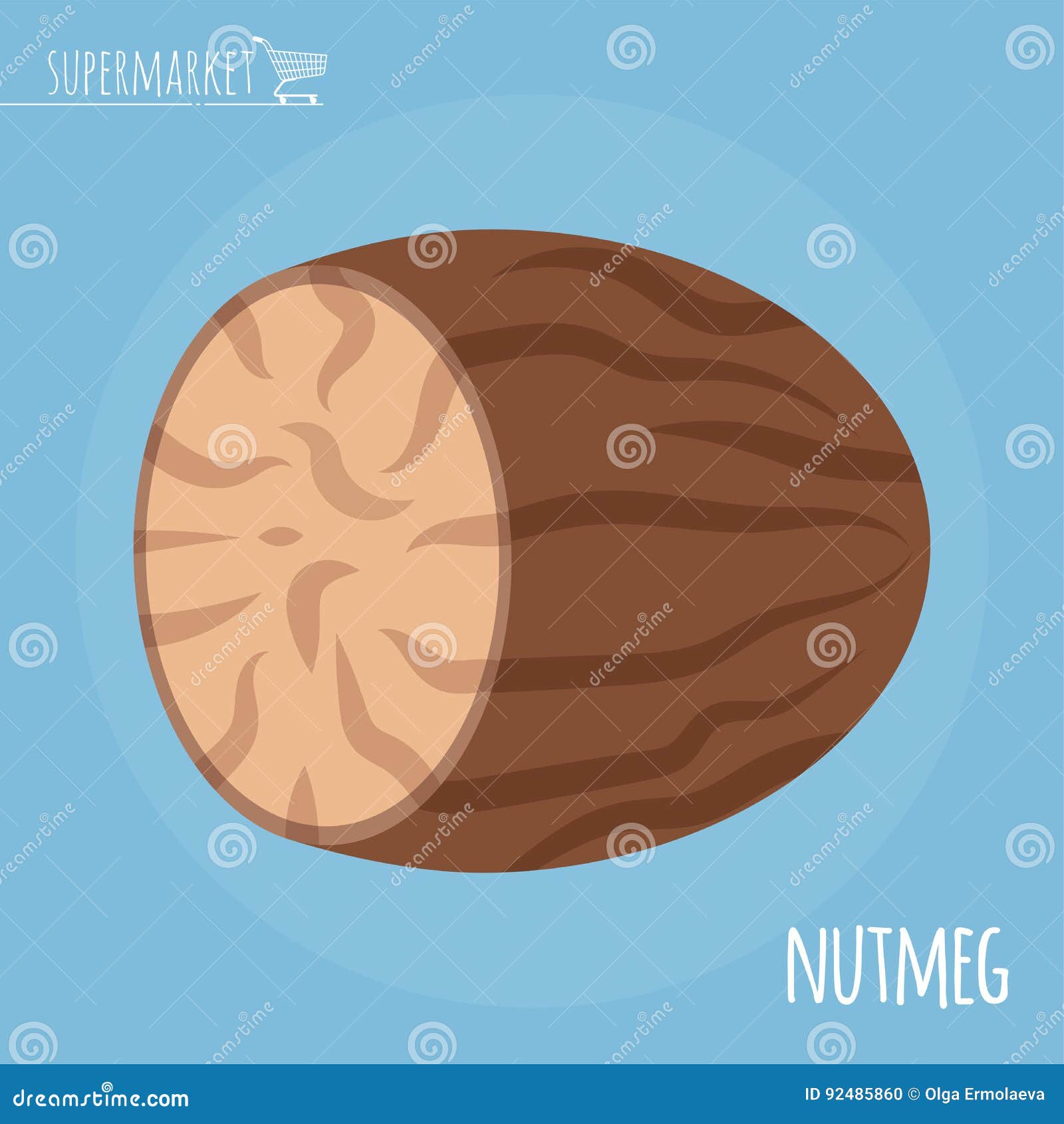Nutmeg Flat Design Vector Icon Stock Vector - Illustration of design ...