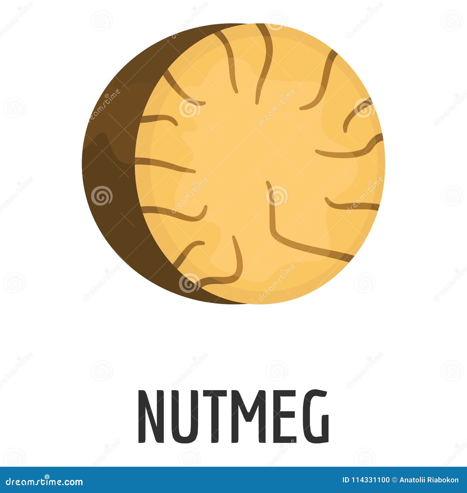 Nutmeg icon, flat style stock vector. Illustration of sign - 114331100