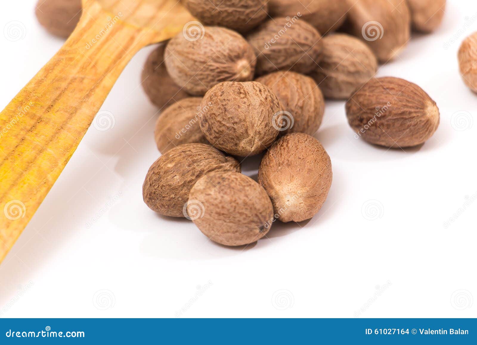 Nutmeg stock photo. Image of aromatic, masqat, macro - 61027164