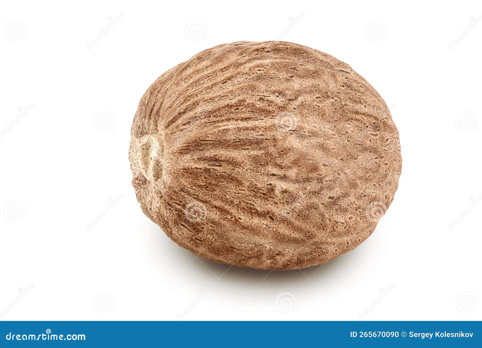 Nutmeg Isolated on White Background with Full Depth of Field Stock ...