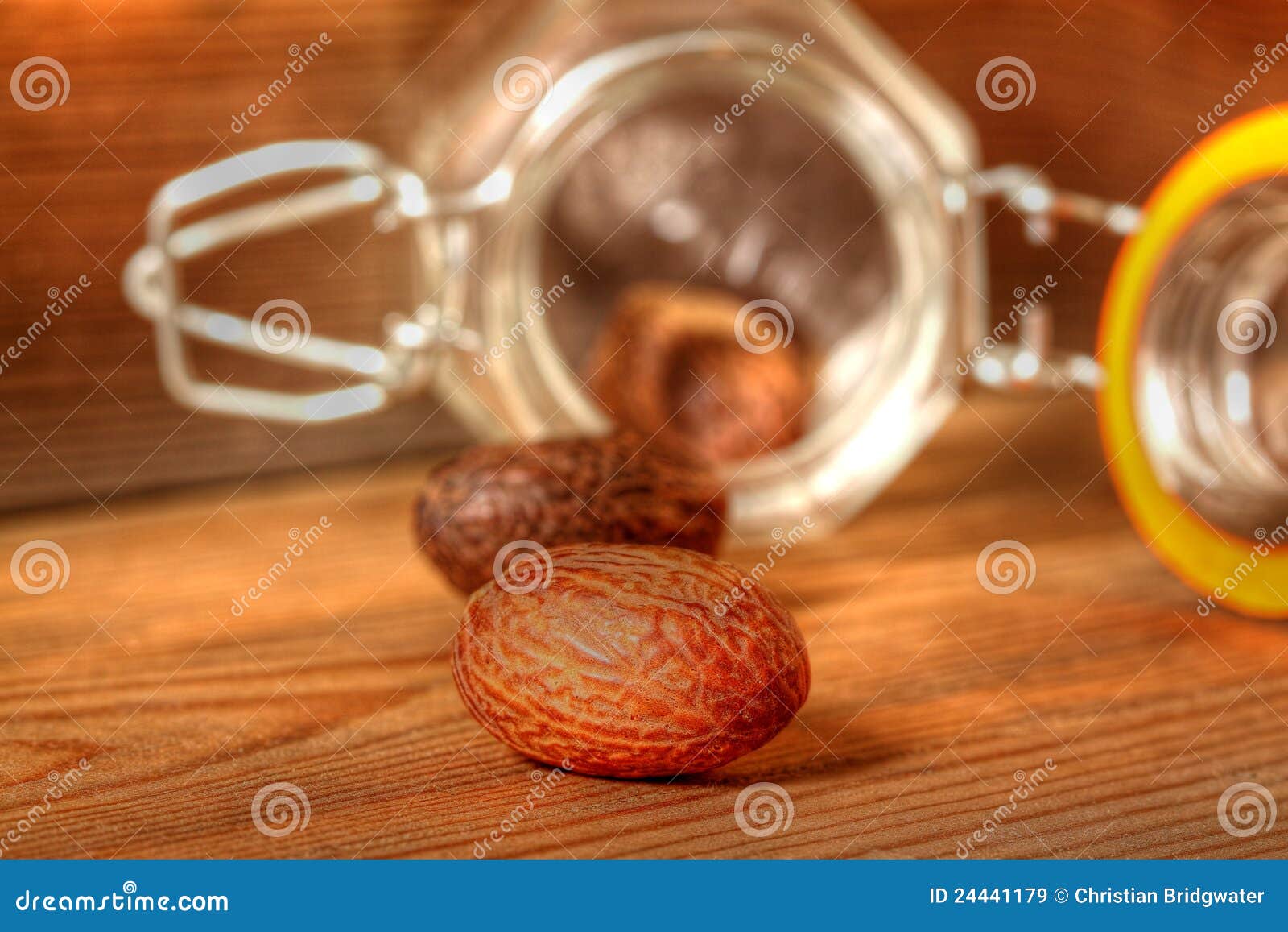 Nutmeg with jar 2 stock image. Image of seasoning, nutmeg - 24441179