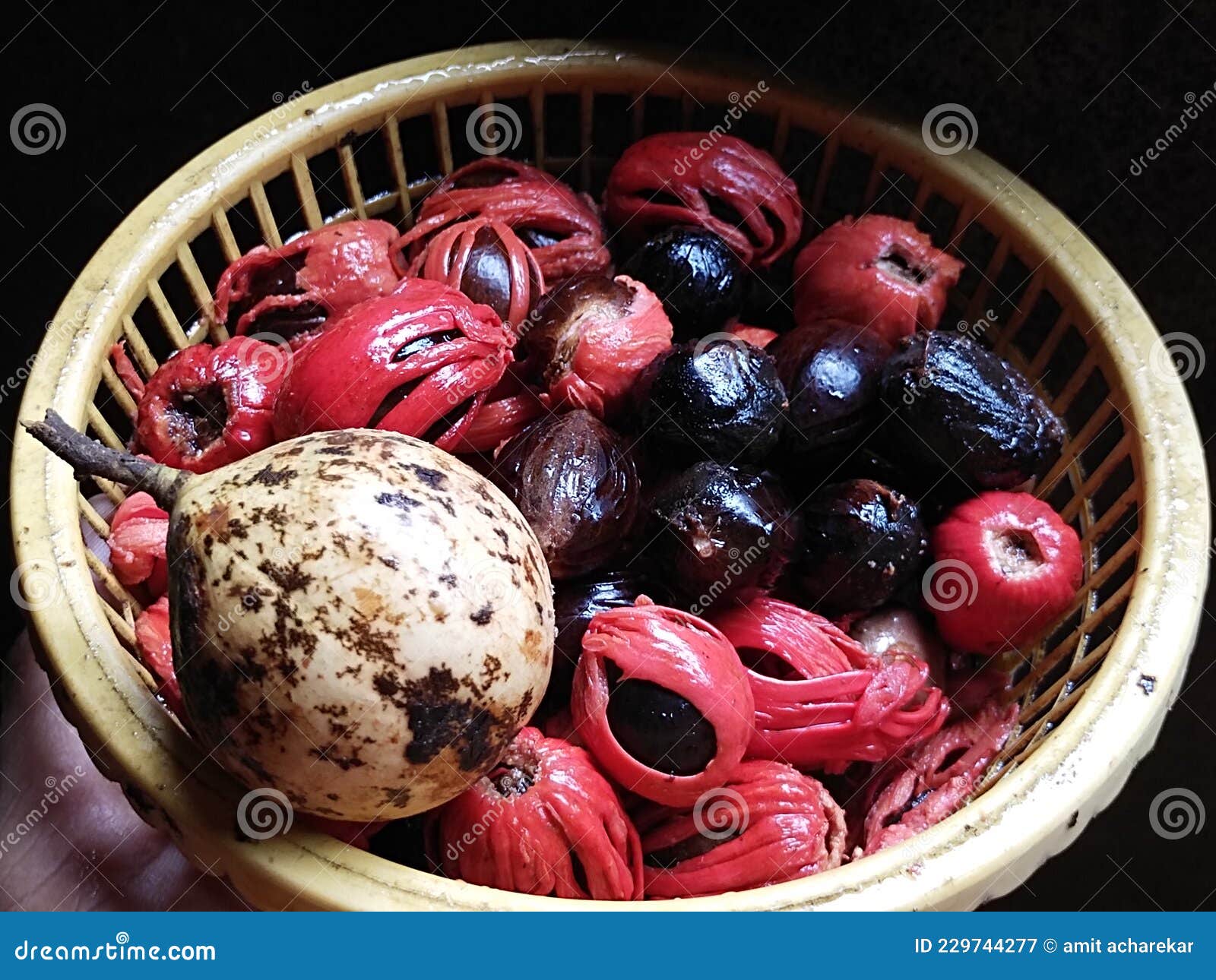Nutmeg & X28;jayfal, Javitri& X29; Stock Image - Image of food, flower ...