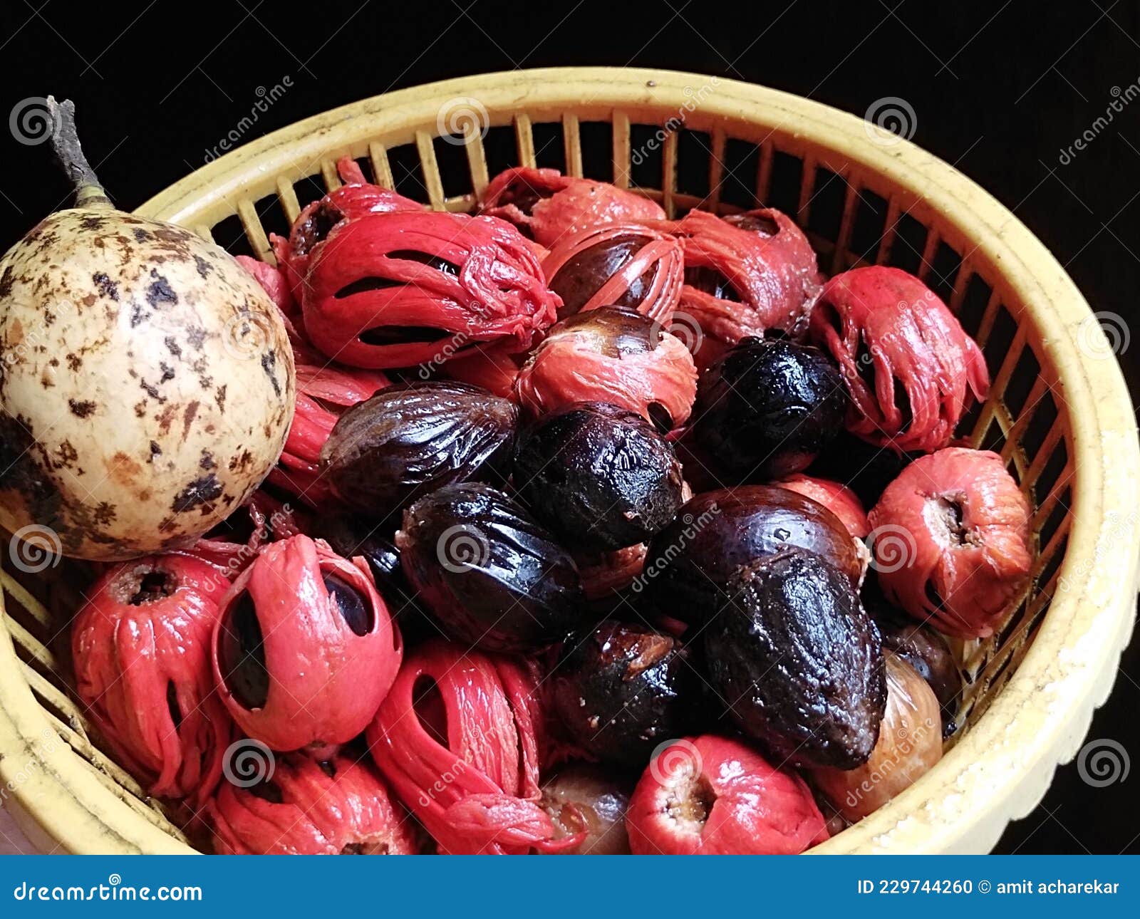 Nutmeg & X28;jayfal, Javitri& X29; Stock Photo - Image of nutmeg ...
