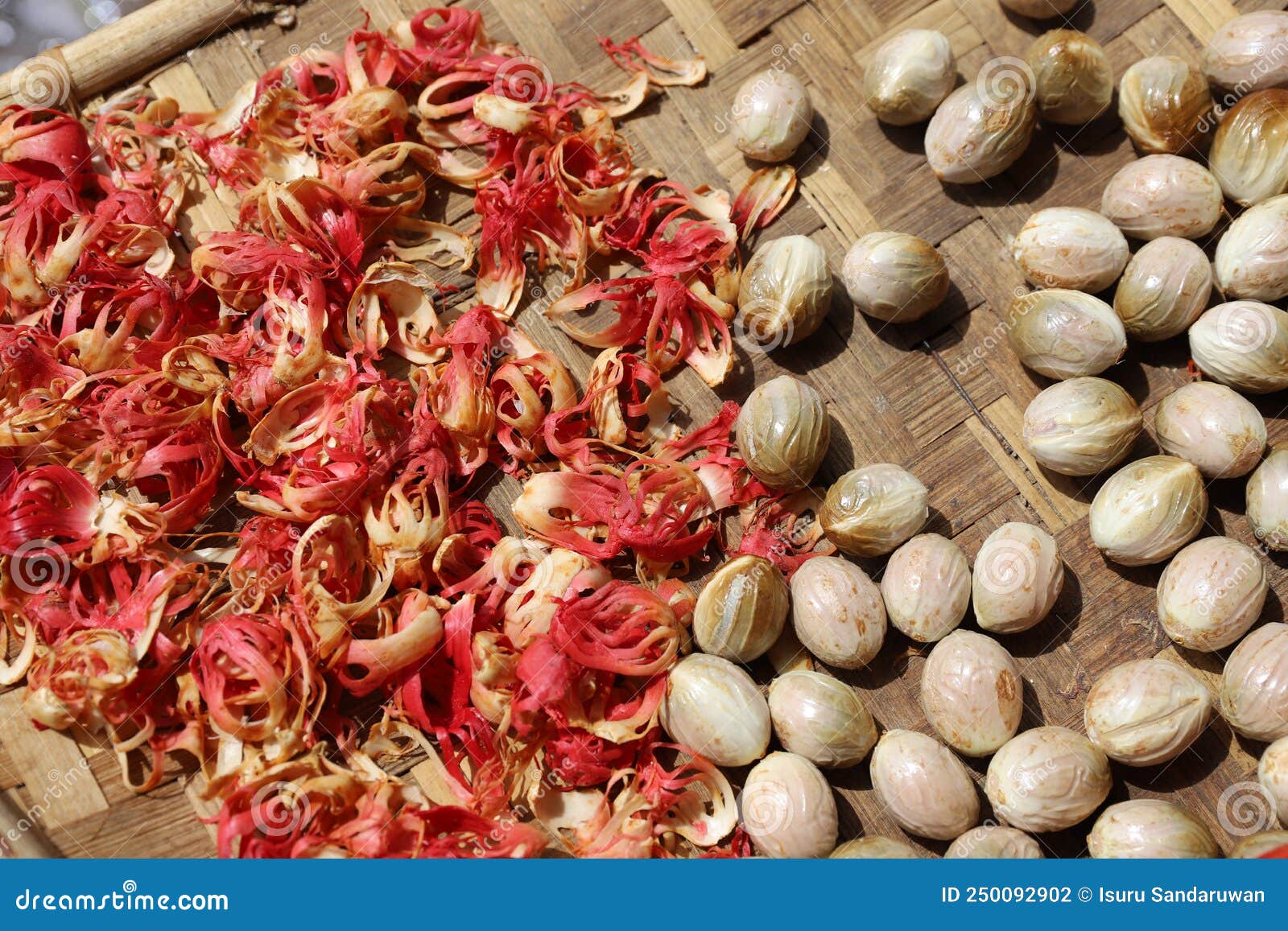 Nutmeg and Mace Drying in the Village Stock Photo - Image of leaf ...