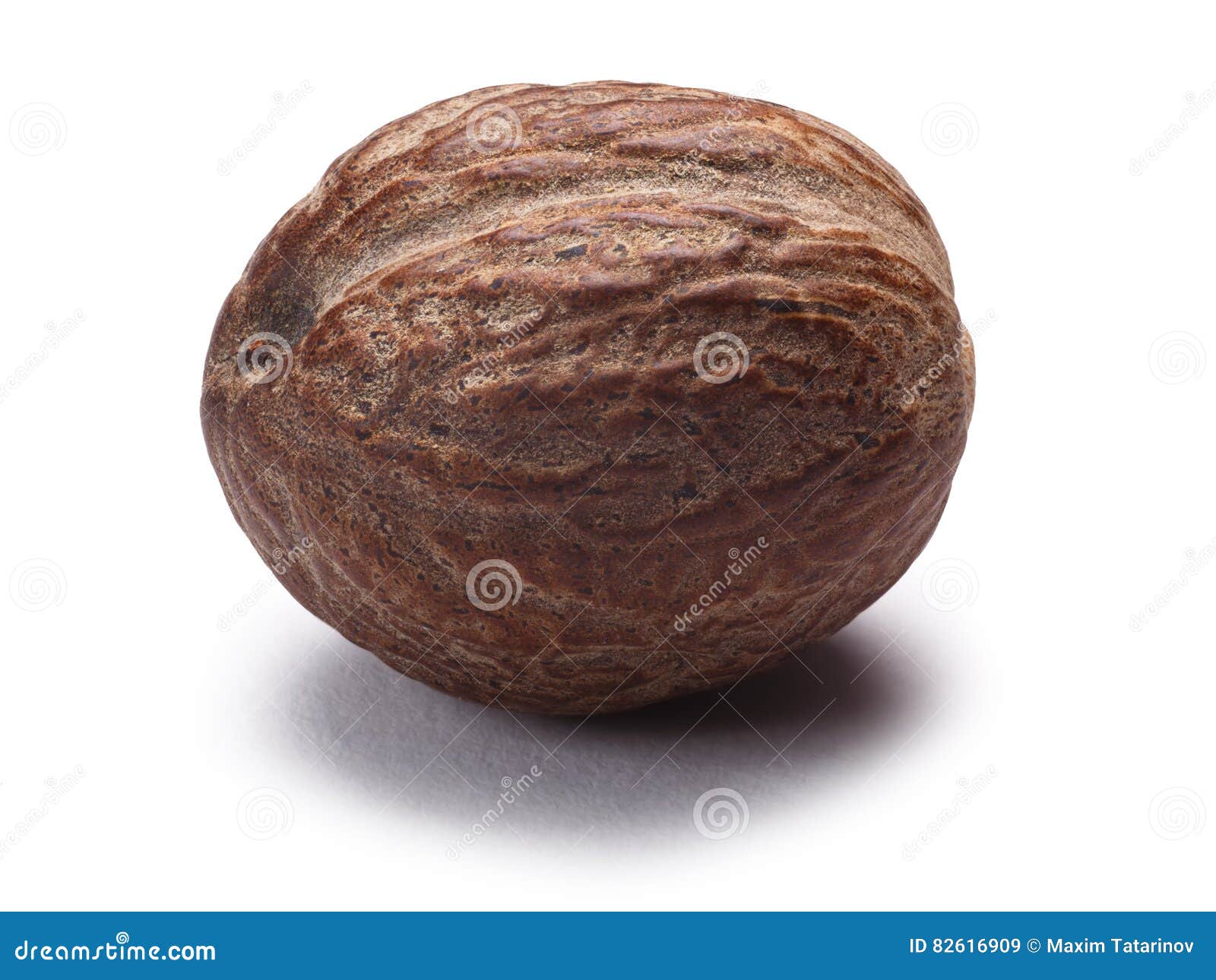 Nutmeg Mace Myristica Fragrans, Paths Stock Image - Image of husked ...