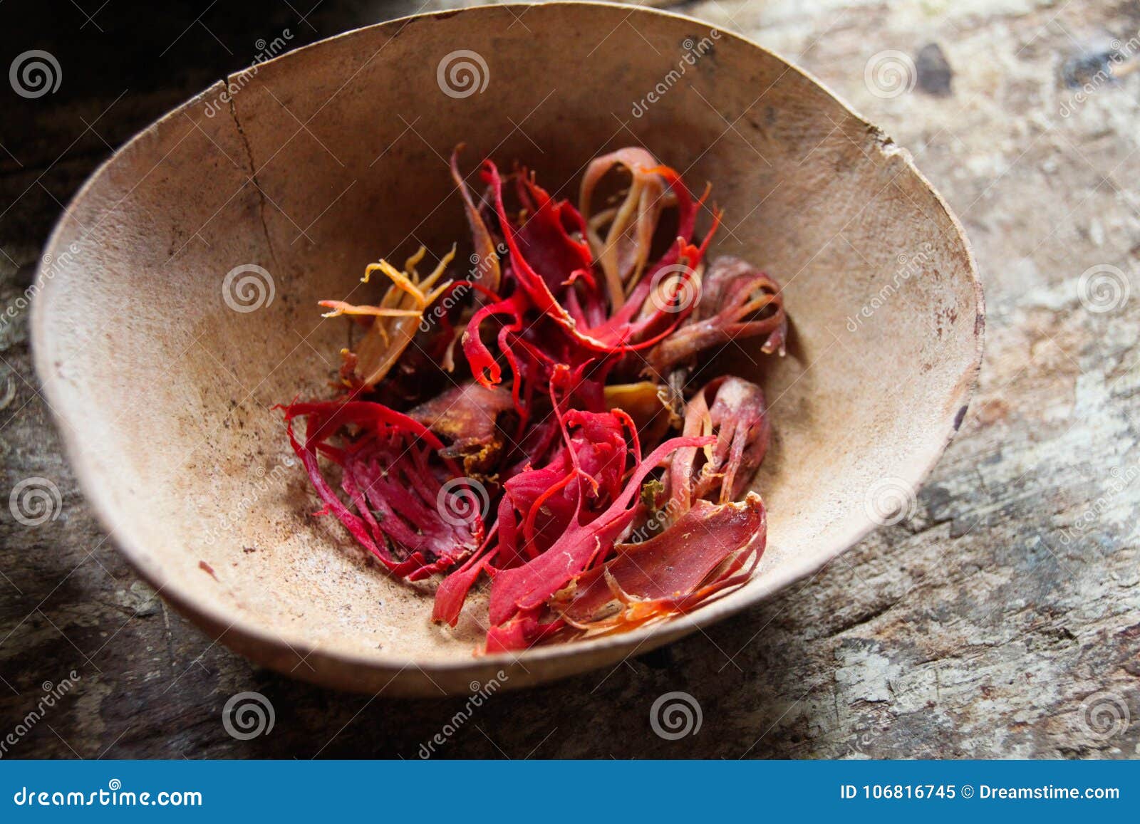 Nutmeg mace stock image. Image of bitter, cooking, fragrant - 106816745