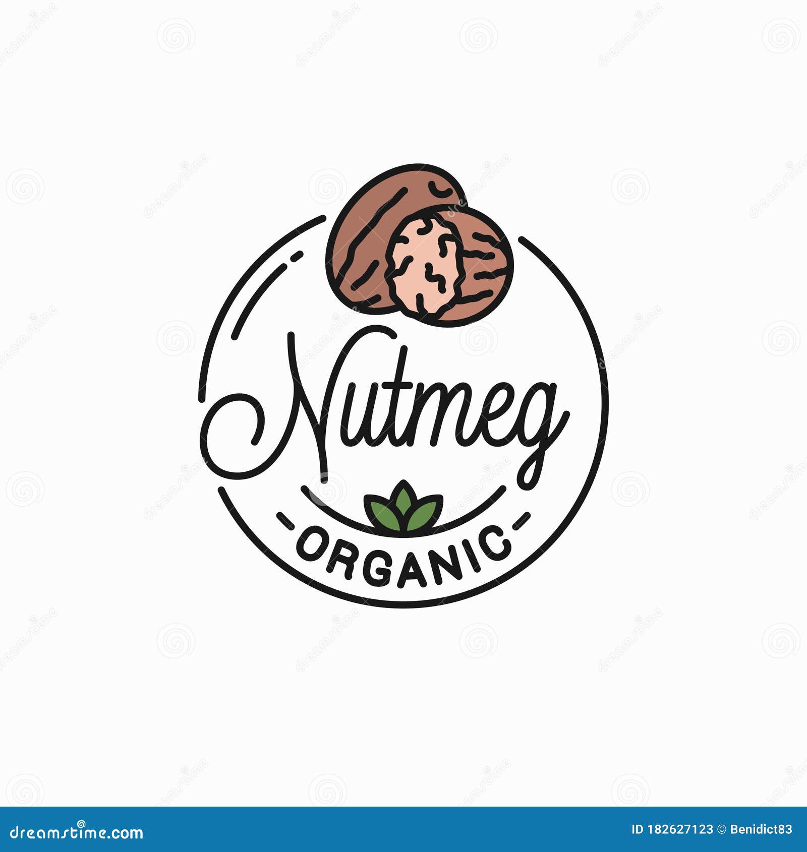 Nutmeg Nut Logo. Round Linear of Nutmeg on White Stock Vector ...