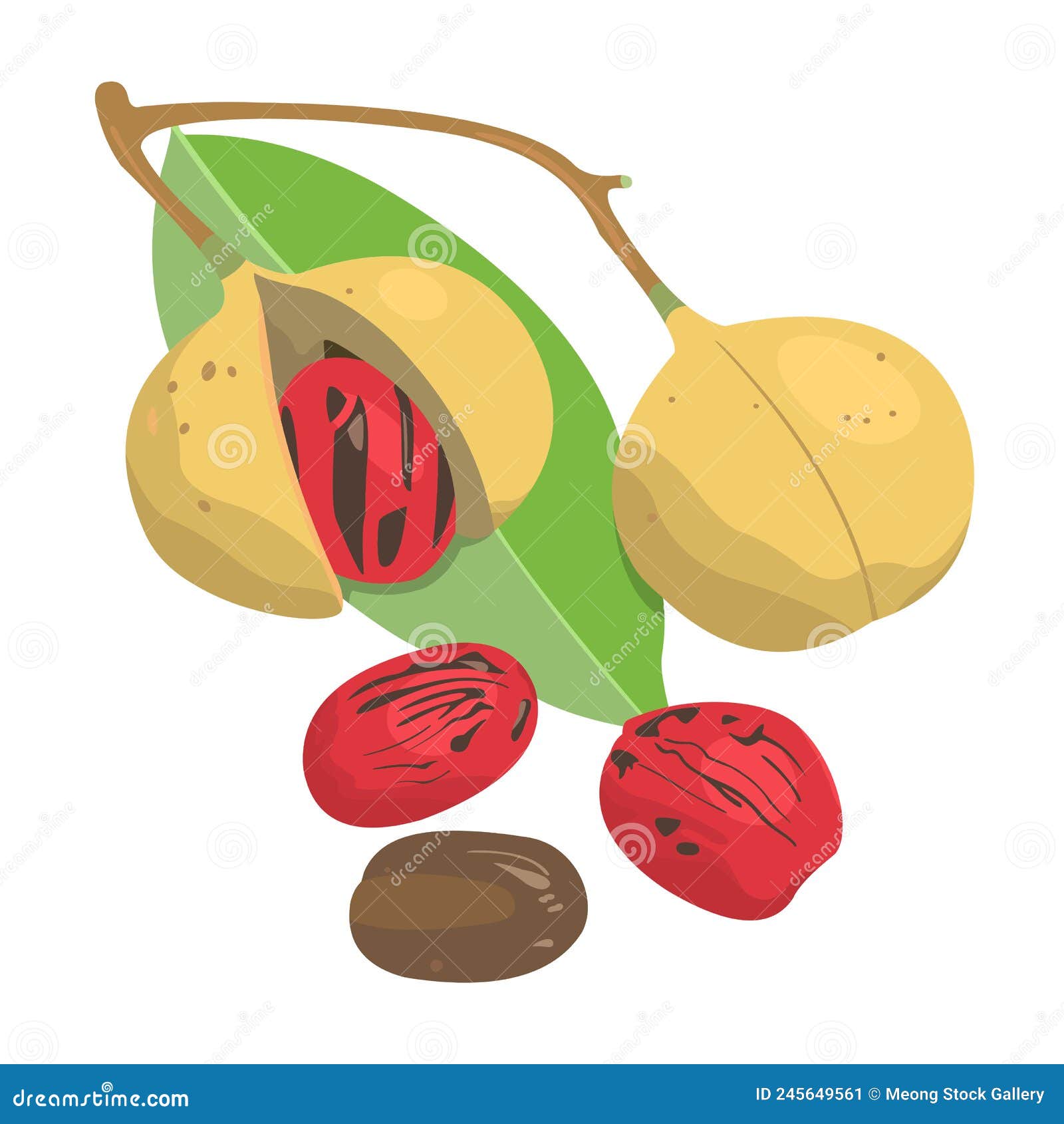 Pala Cartoons, Illustrations & Vector Stock Images - 87 Pictures to ...