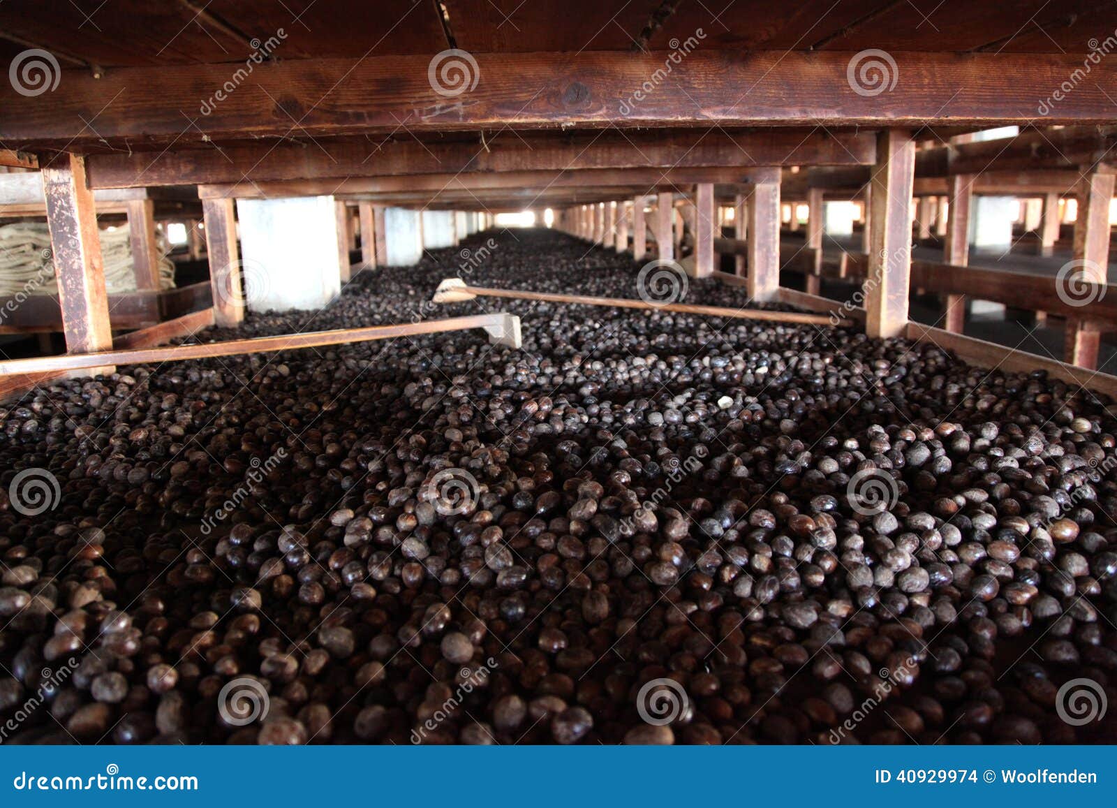 Nutmeg Racks Stock Photos - Free & Royalty-Free Stock Photos from ...