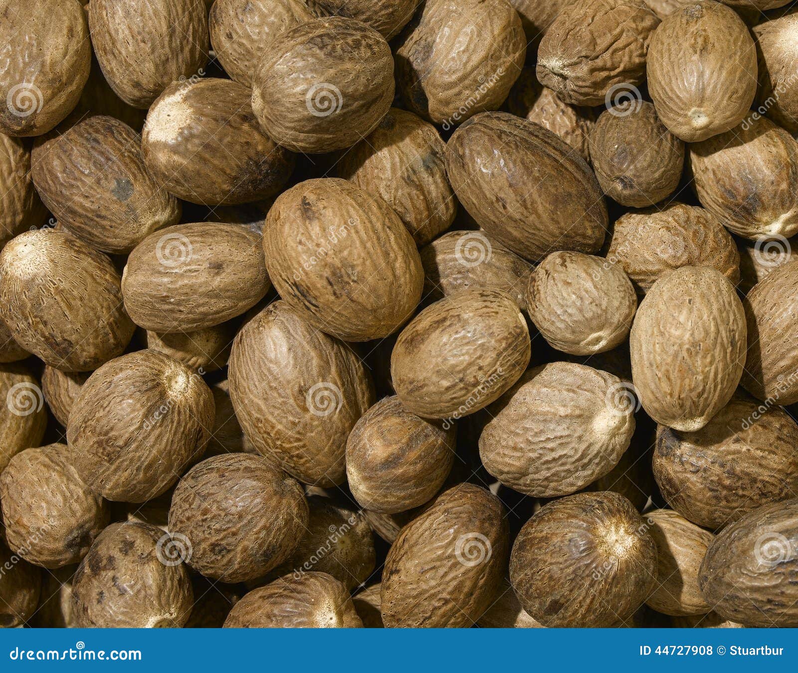 Nutmeg stock photo. Image of health, ingredient, brown - 44727908